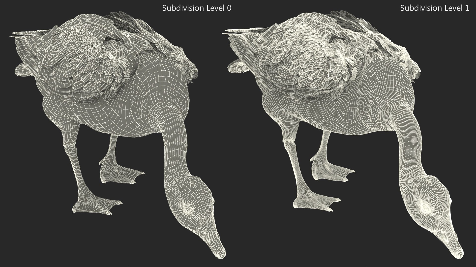 3D Large Wild Goose Walking Pose - TurboSquid 2112229