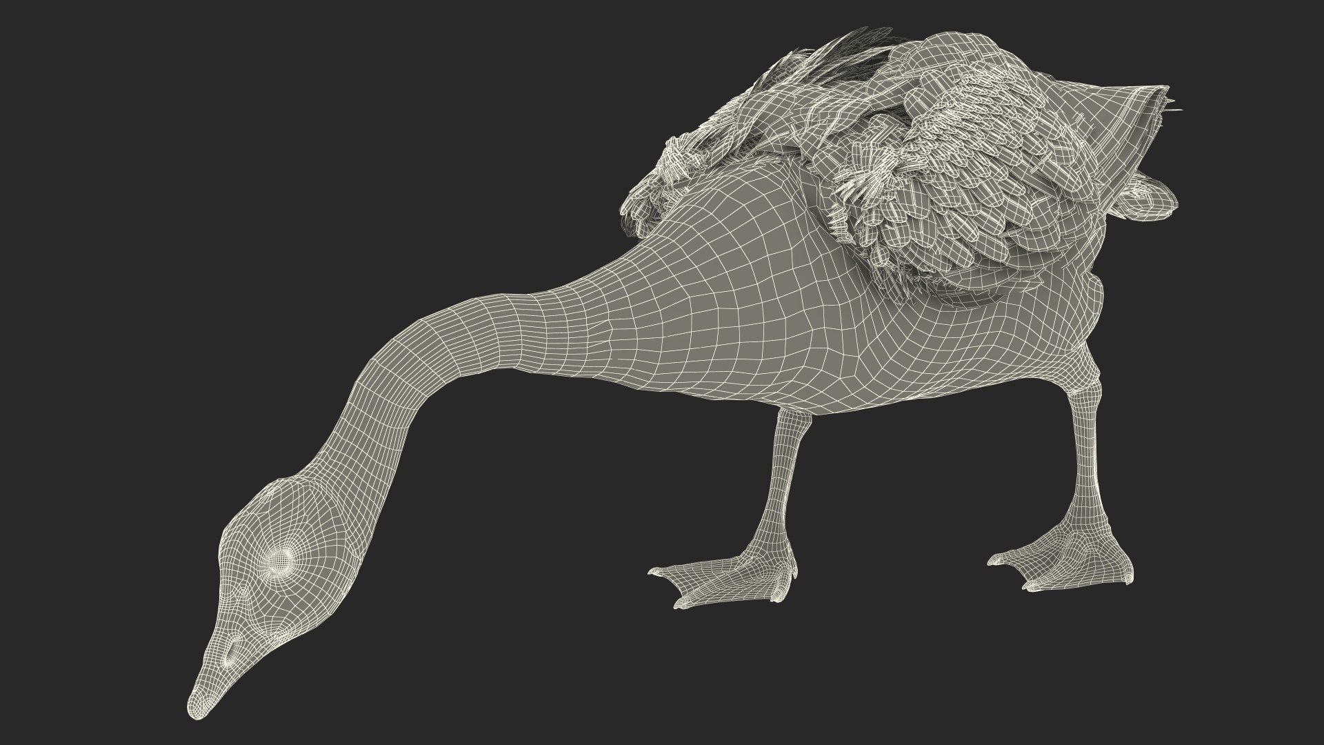 3D Large Wild Goose Walking Pose - TurboSquid 2112229