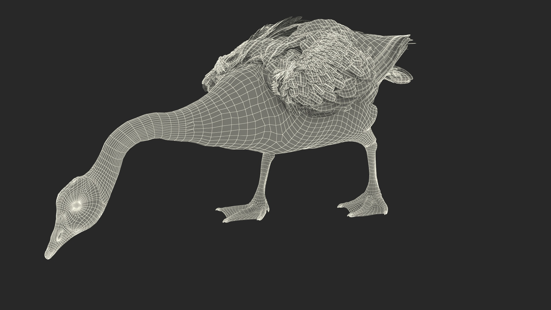 3D Large Wild Goose Walking Pose - TurboSquid 2112229