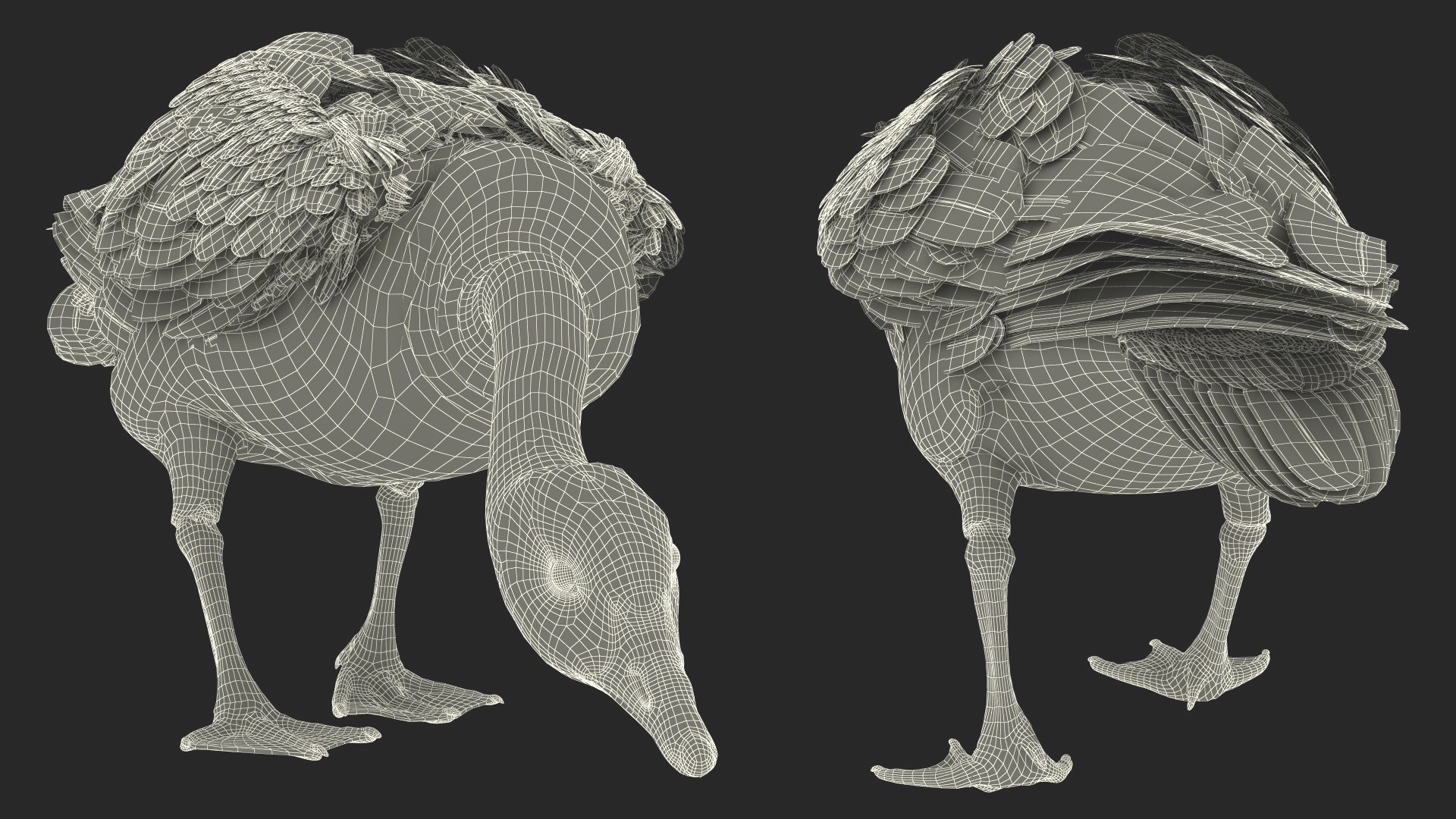 3D Large Wild Goose Walking Pose - TurboSquid 2112229