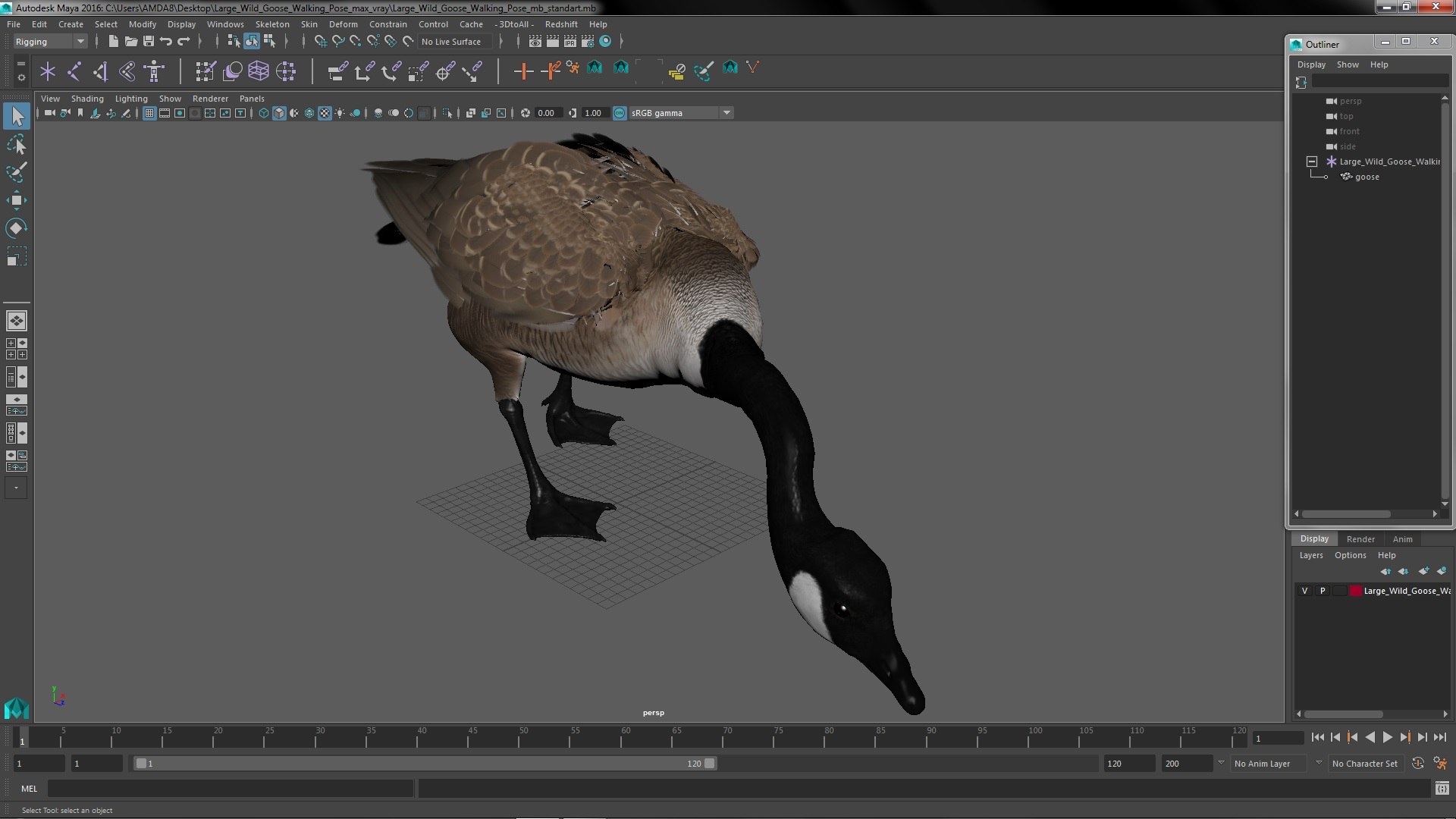3D Large Wild Goose Walking Pose - TurboSquid 2112229