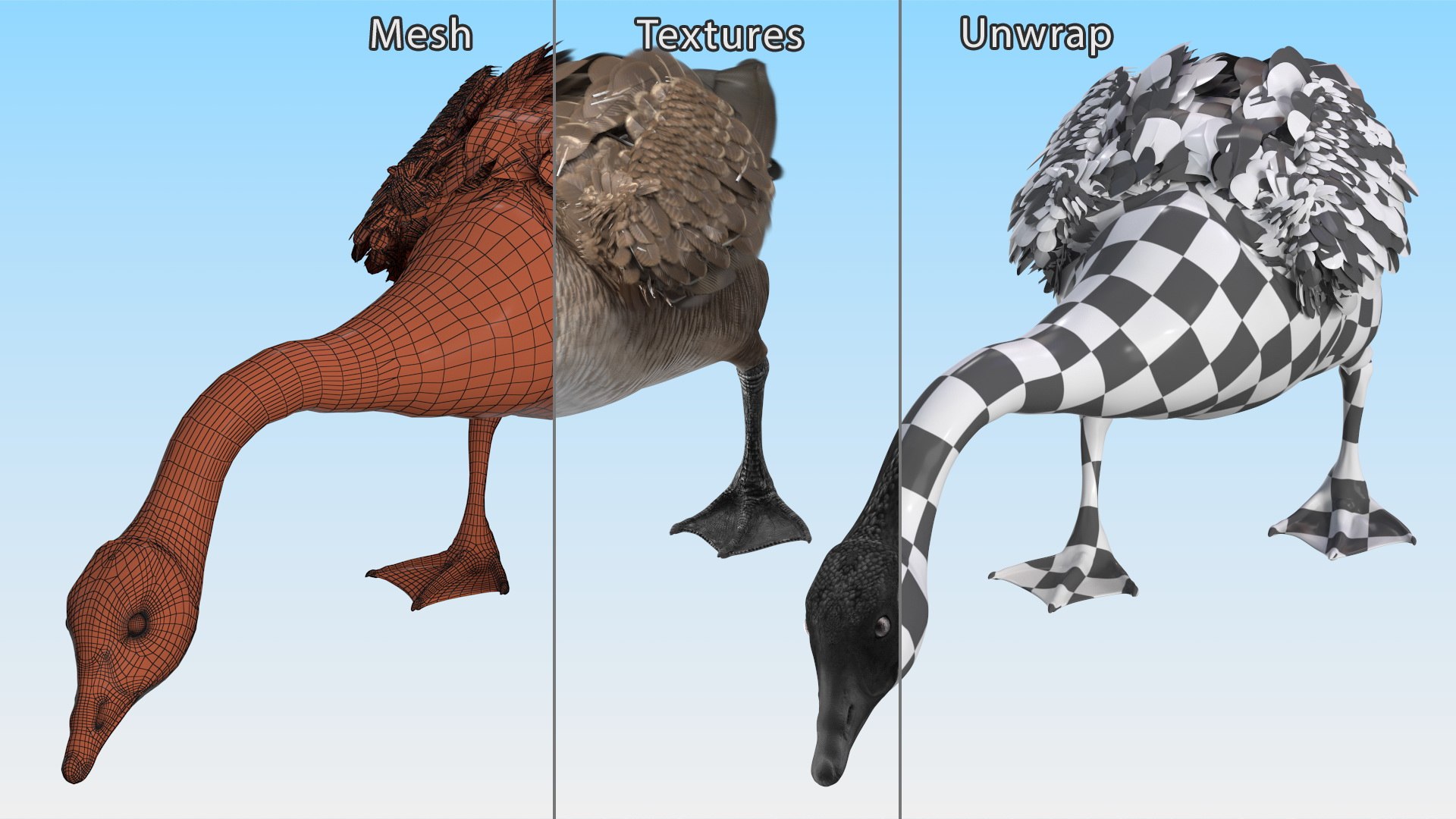 3D Large Wild Goose Walking Pose - TurboSquid 2112229