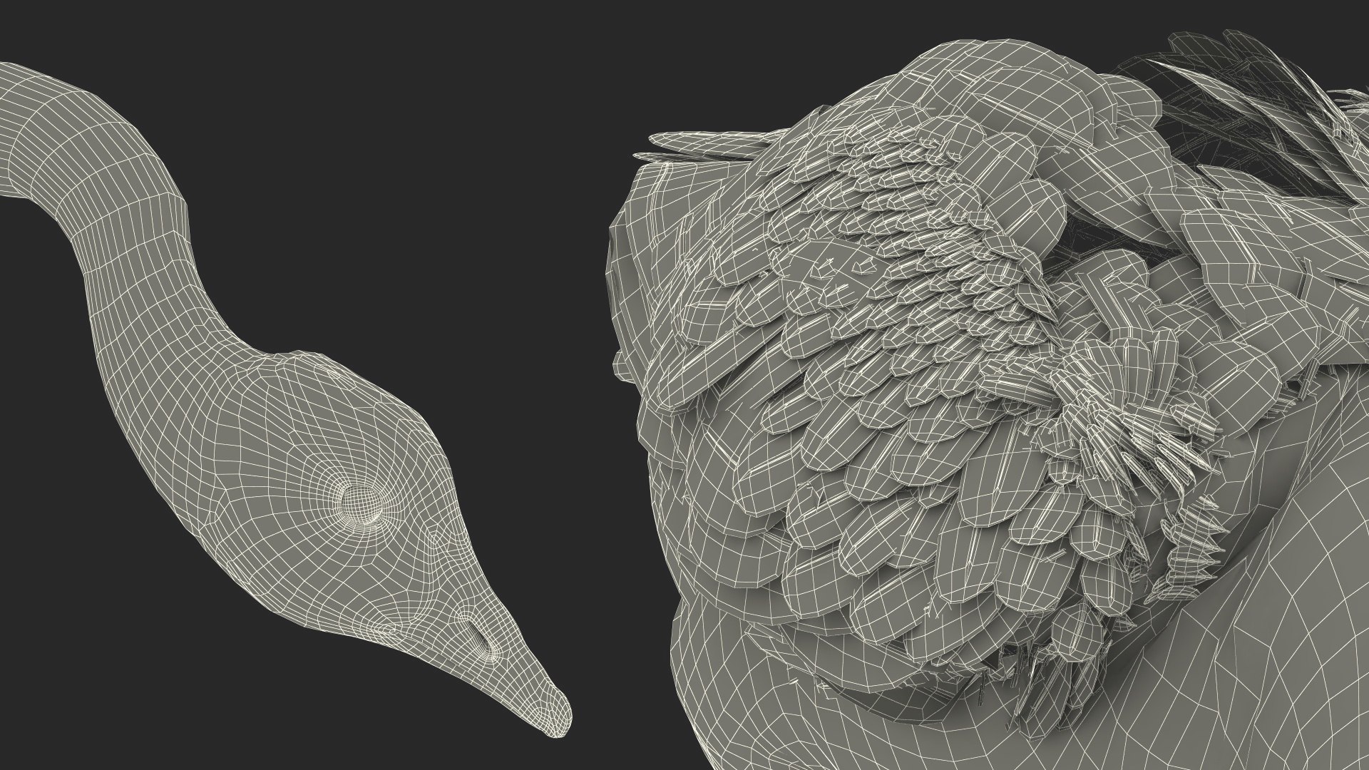 3D Large Wild Goose Walking Pose - TurboSquid 2112229