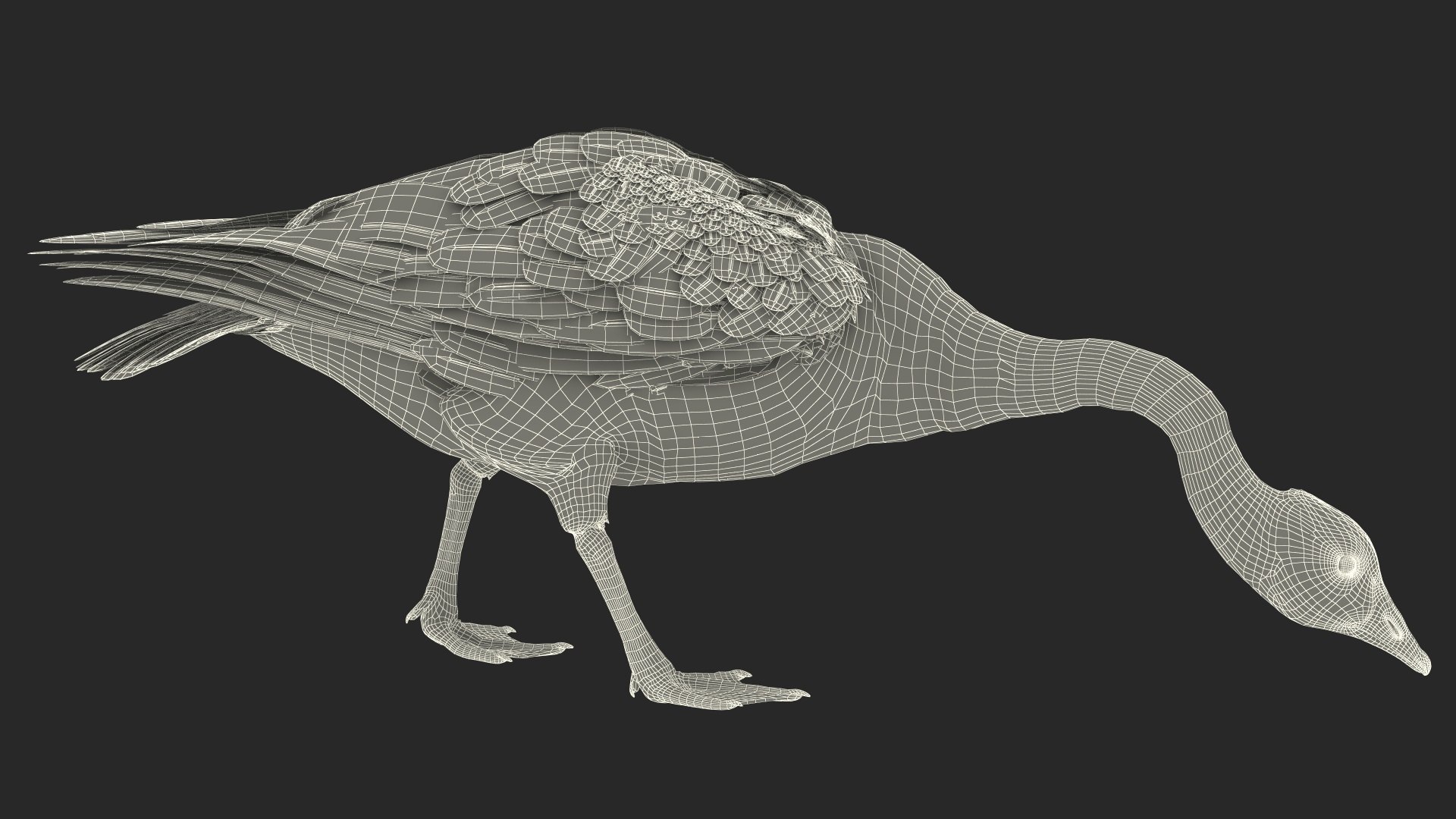 3D Large Wild Goose Walking Pose - TurboSquid 2112229