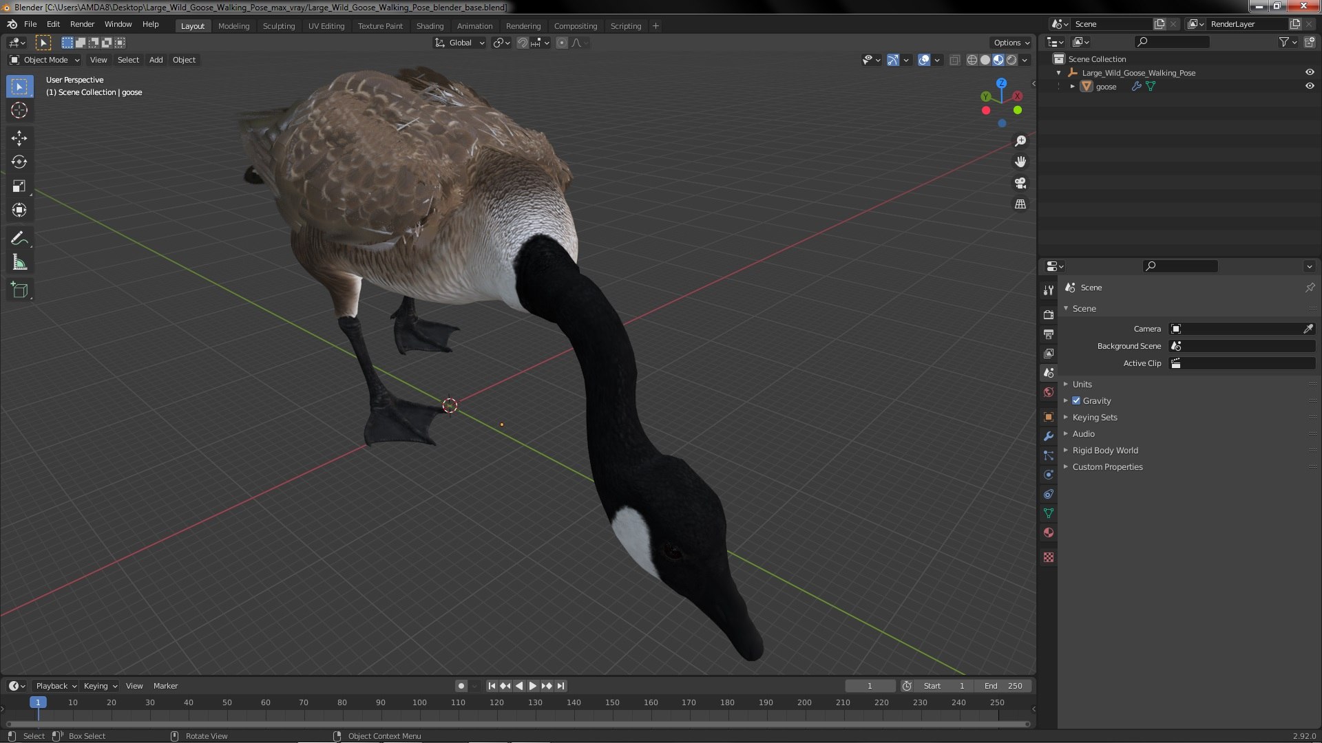 3D Large Wild Goose Walking Pose - TurboSquid 2112229