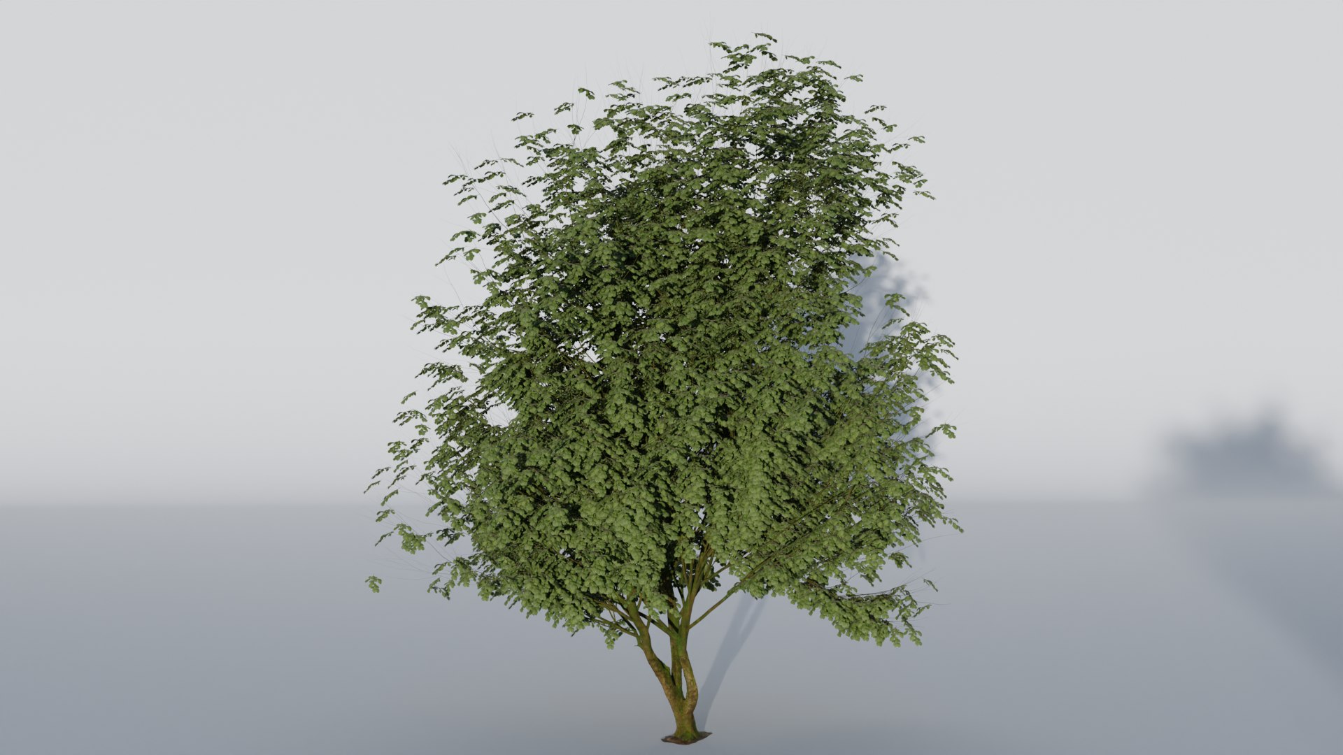 3D Model Trees - TurboSquid 2213400