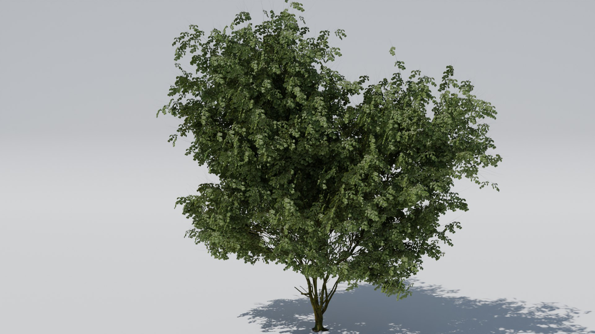 3D Model Trees - TurboSquid 2213400