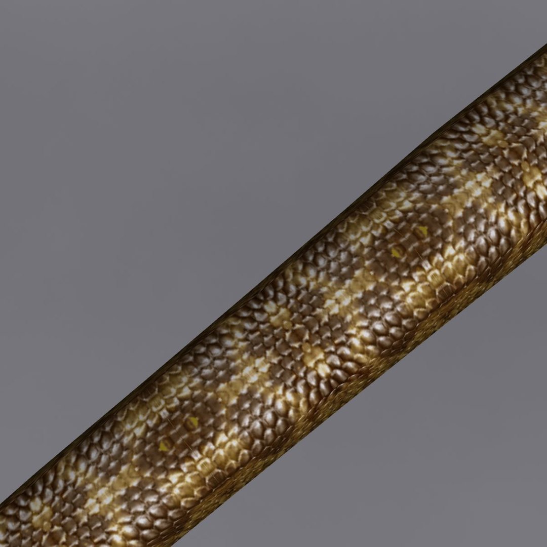 3d python model