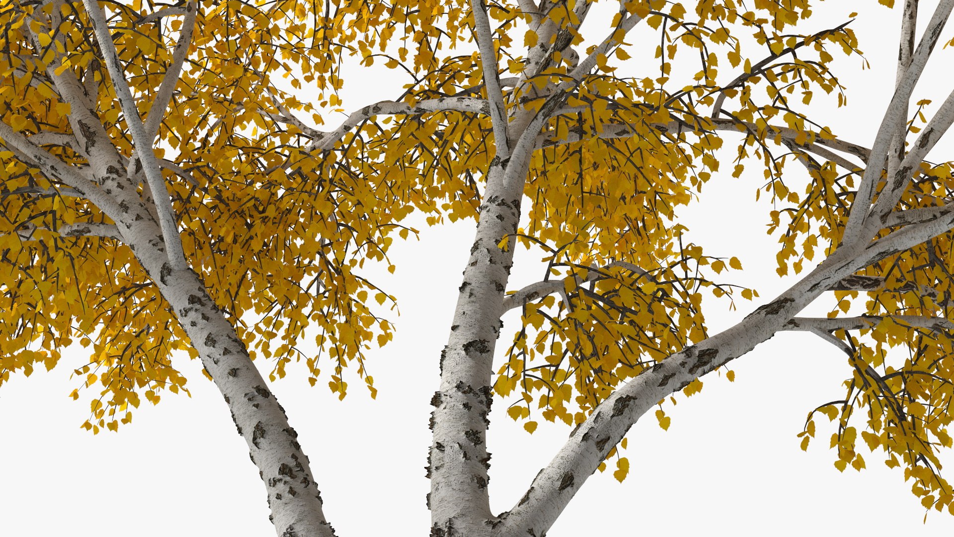 3D model Autumn Yellow Trees Collection - TurboSquid 1807060