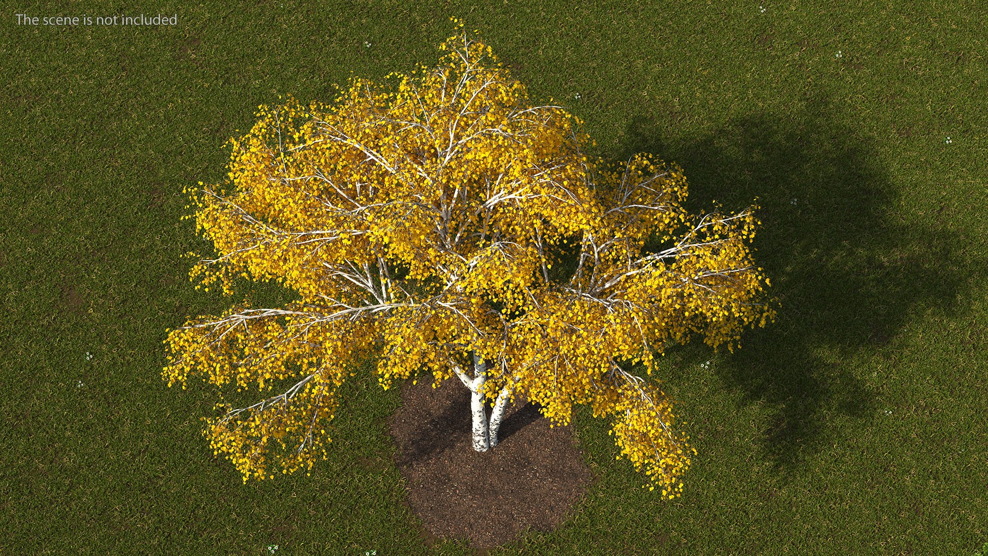 3D model Autumn Yellow Trees Collection - TurboSquid 1807060