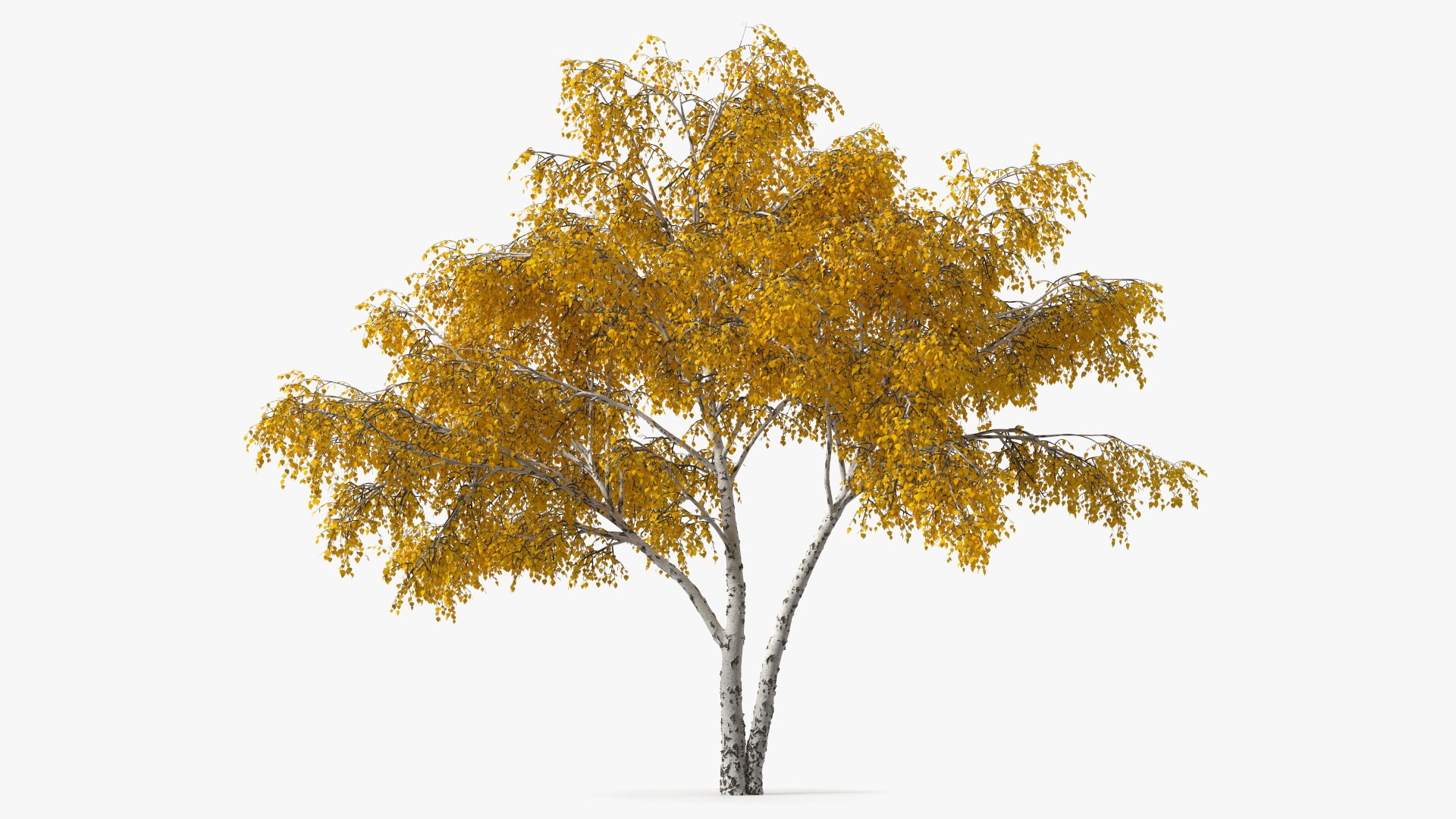 3D model Autumn Yellow Trees Collection - TurboSquid 1807060