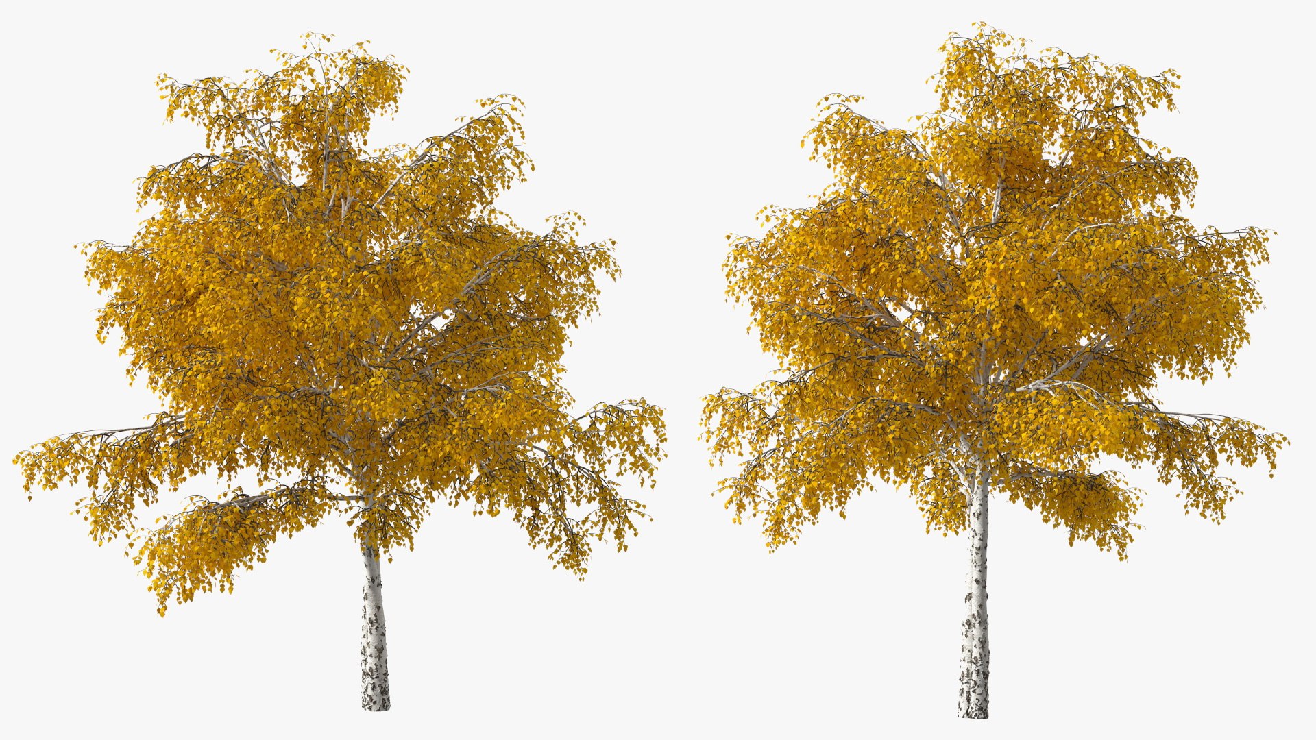 3D model Autumn Yellow Trees Collection - TurboSquid 1807060