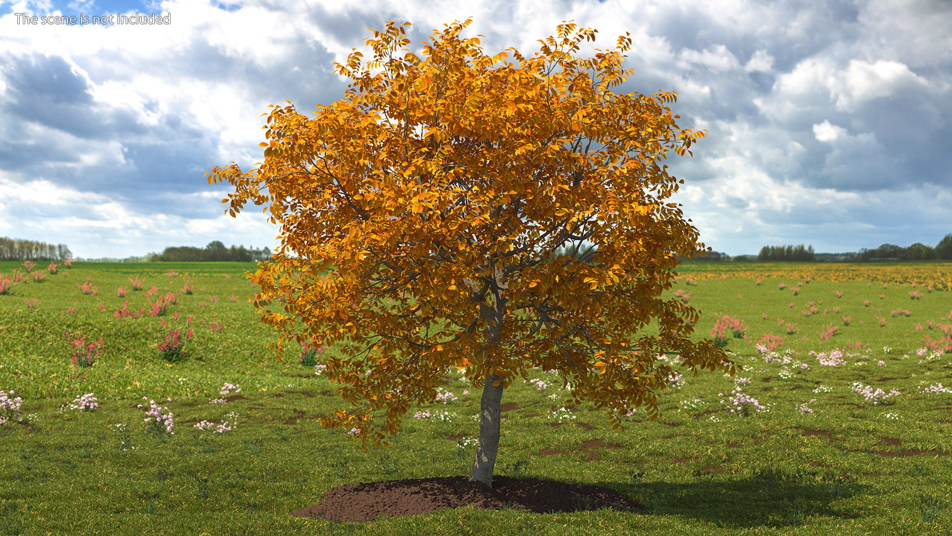 3D model Autumn Yellow Trees Collection - TurboSquid 1807060