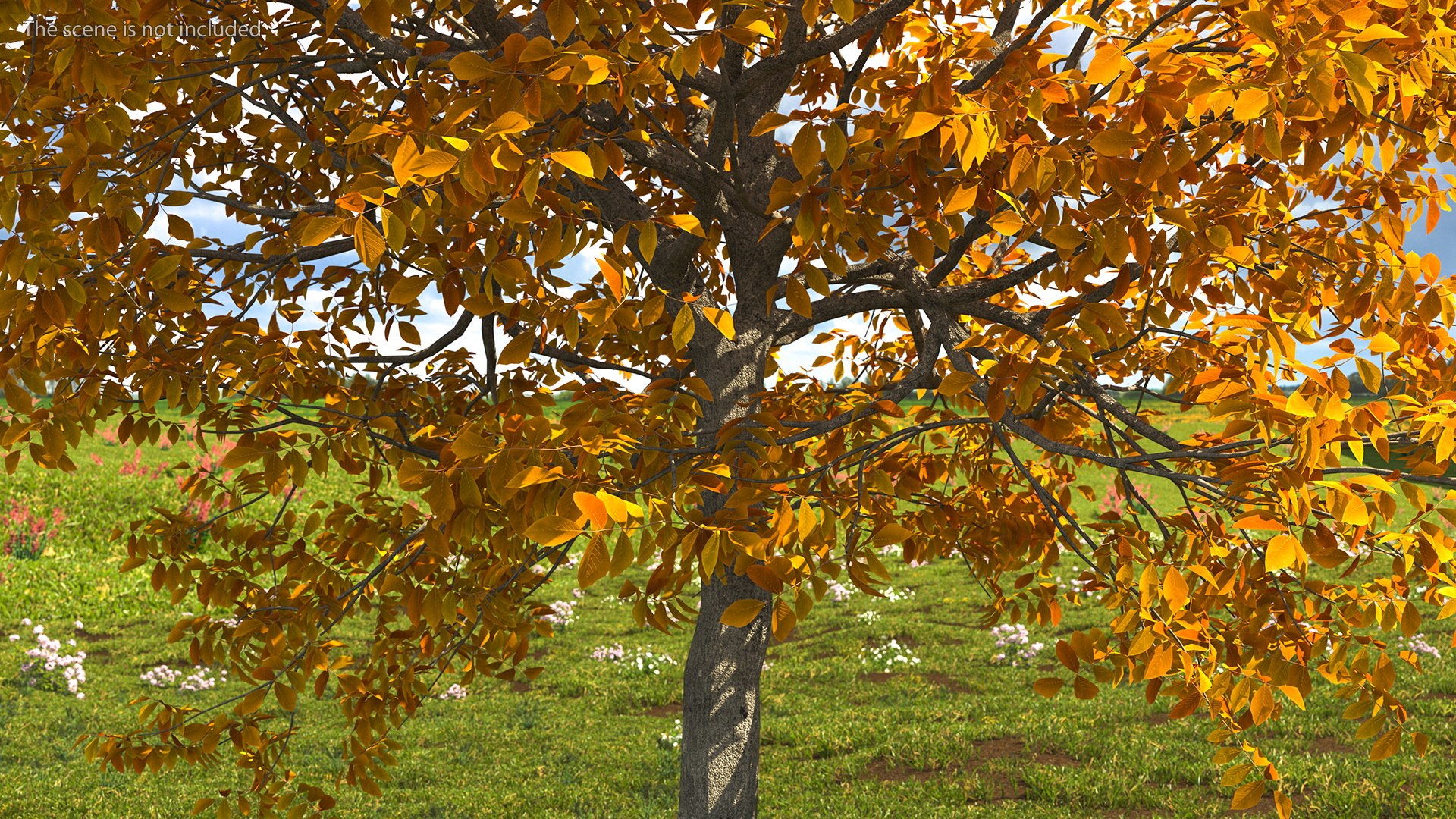 3D model Autumn Yellow Trees Collection - TurboSquid 1807060