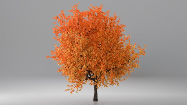 3D model Autumn Yellow Trees Collection - TurboSquid 1807060