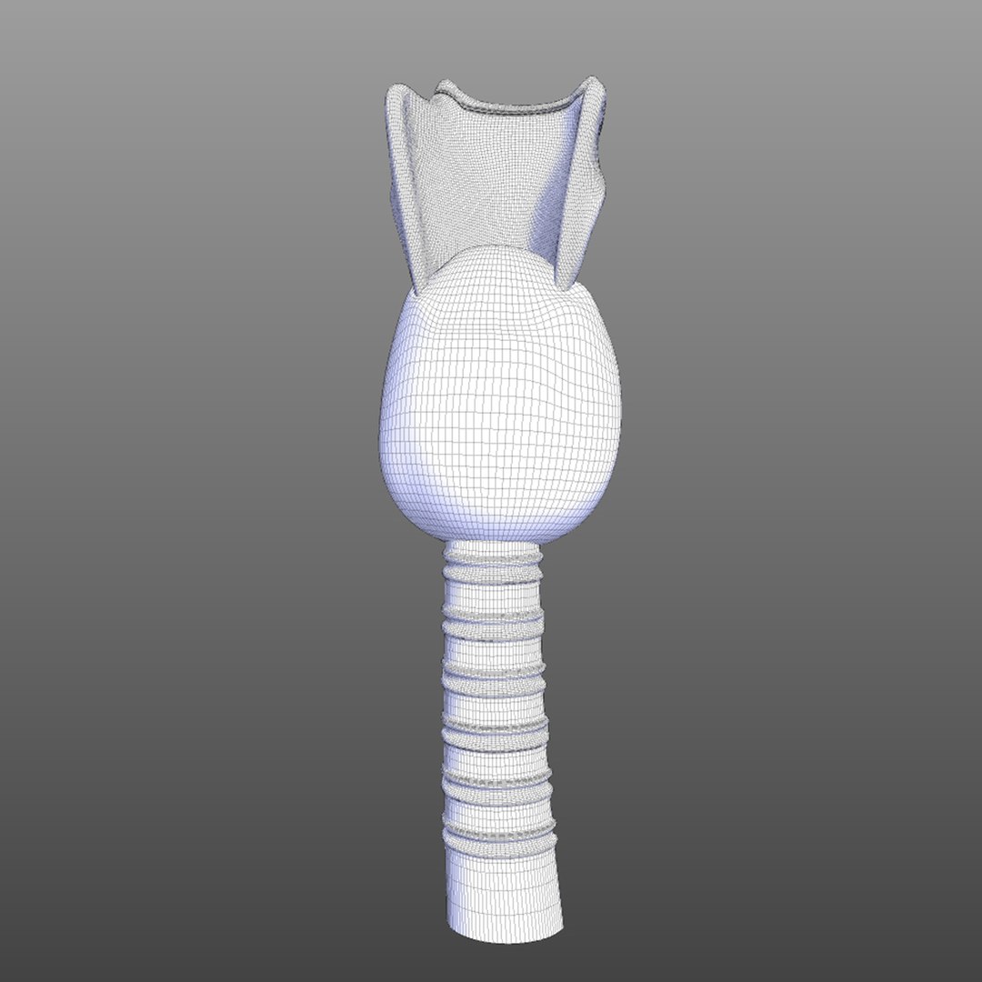 Anatomy Human Throat 3D Model - TurboSquid 1527746