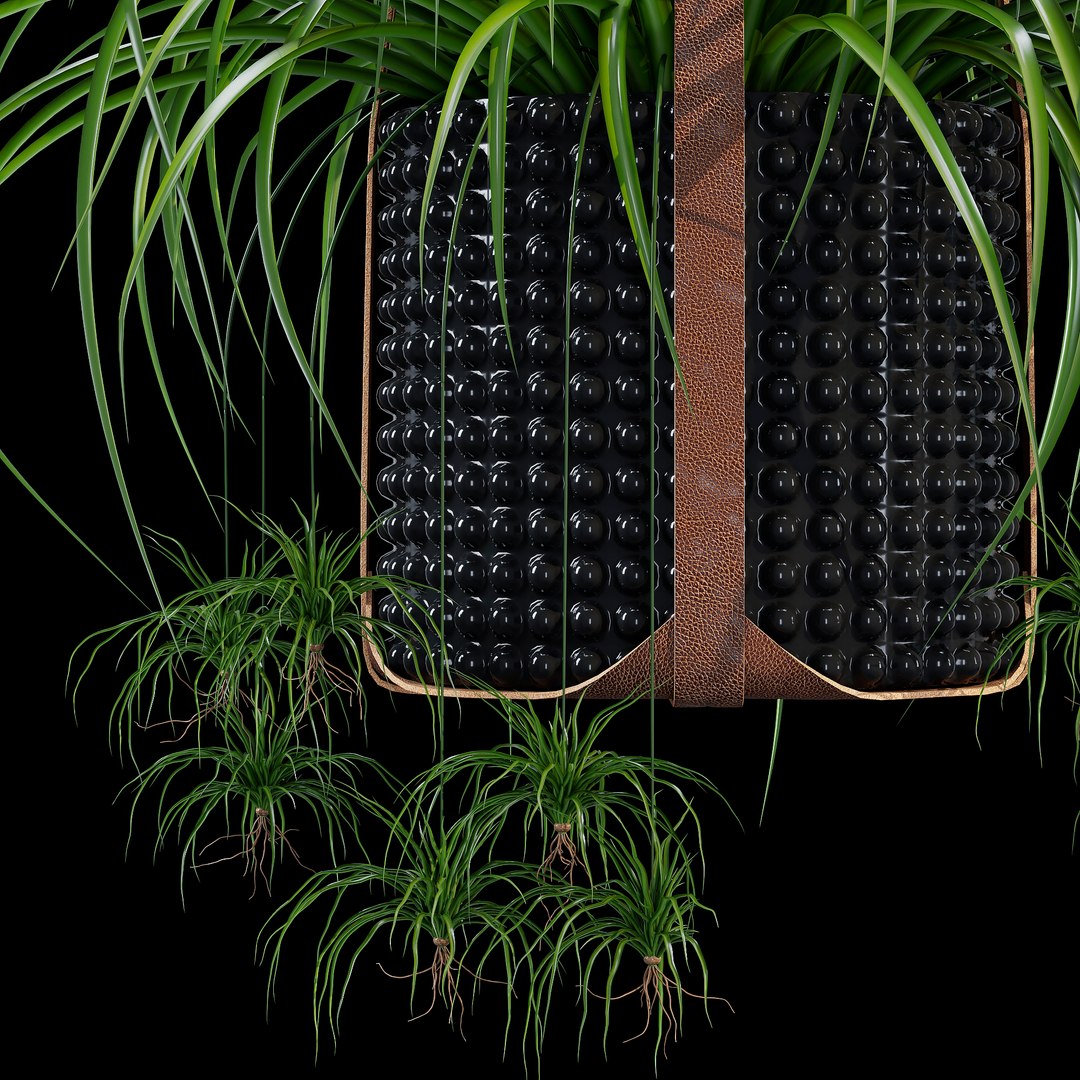 3D Corium Plant Hangers Model - TurboSquid 1691072