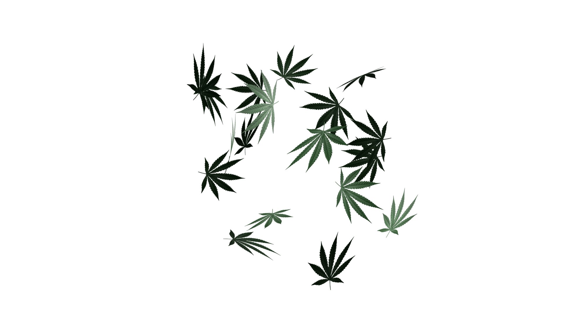 3D Weed Cannabis Leaves Falling - TurboSquid 2011397