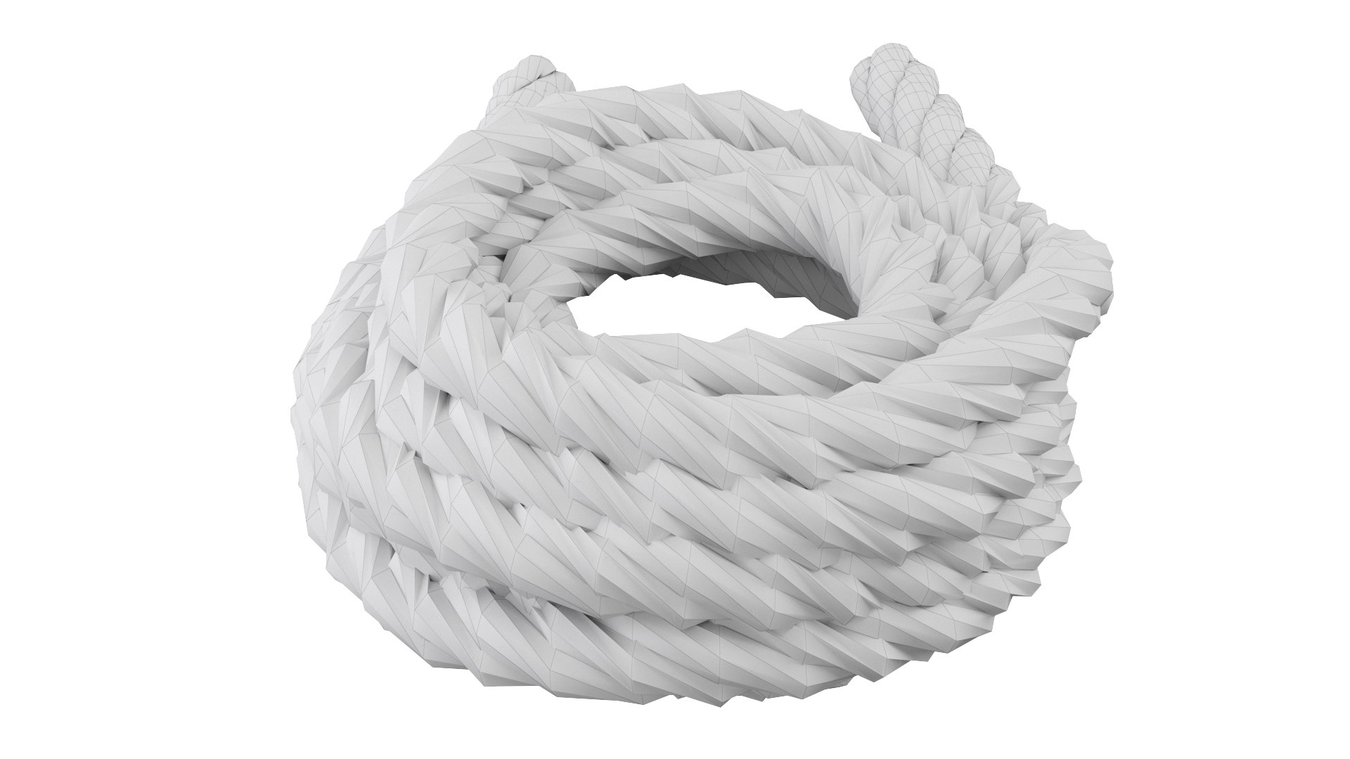 Battle Rope 3D Model - TurboSquid 1697329
