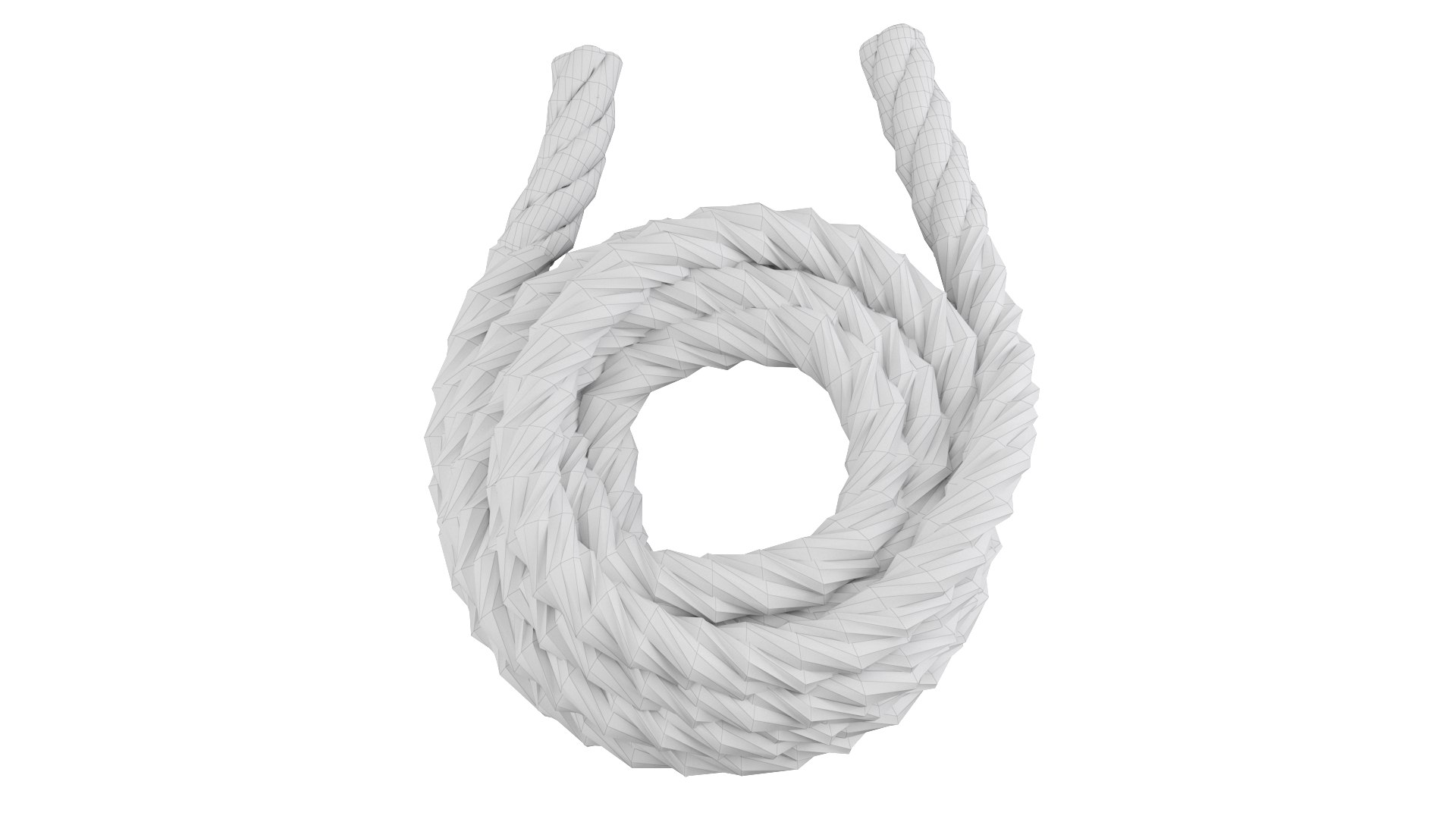 Battle Rope 3D Model - TurboSquid 1697329