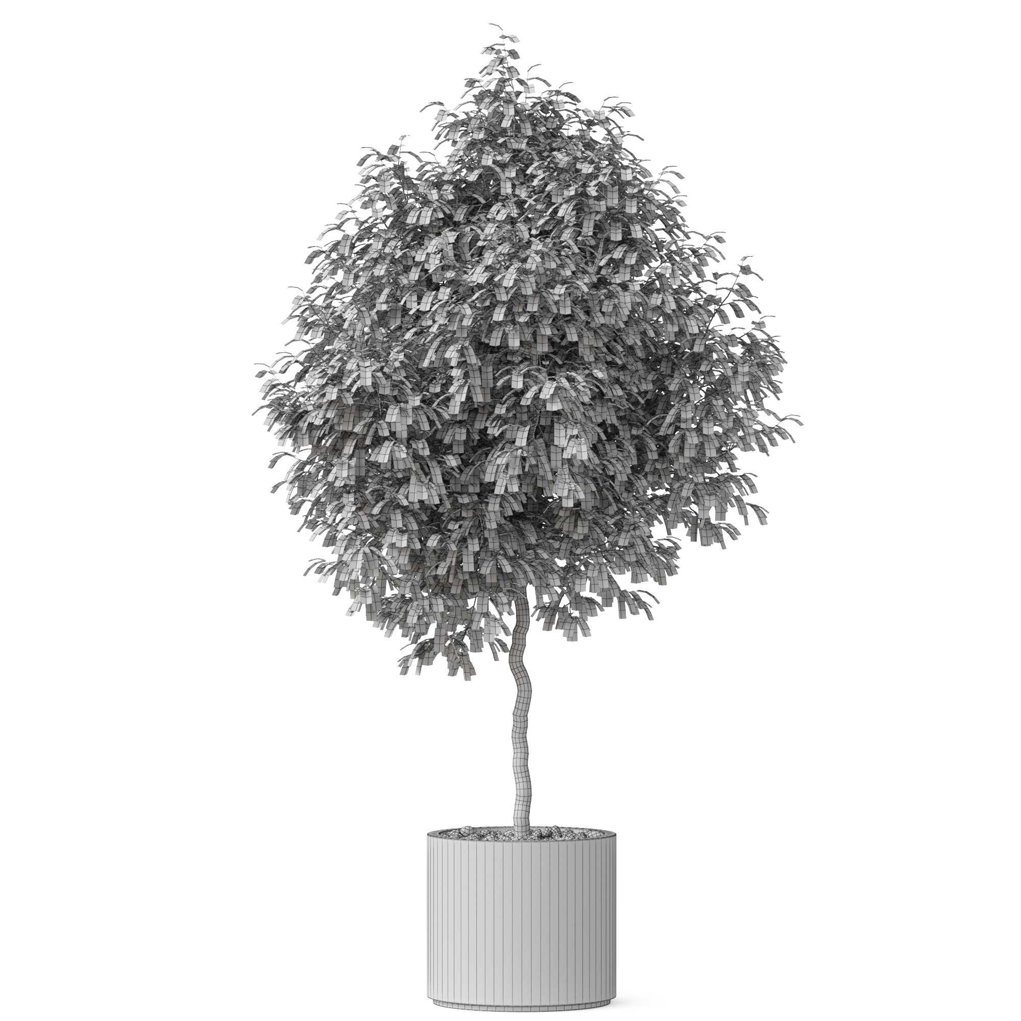 Plants collection 809 3D model - TurboSquid 1963640