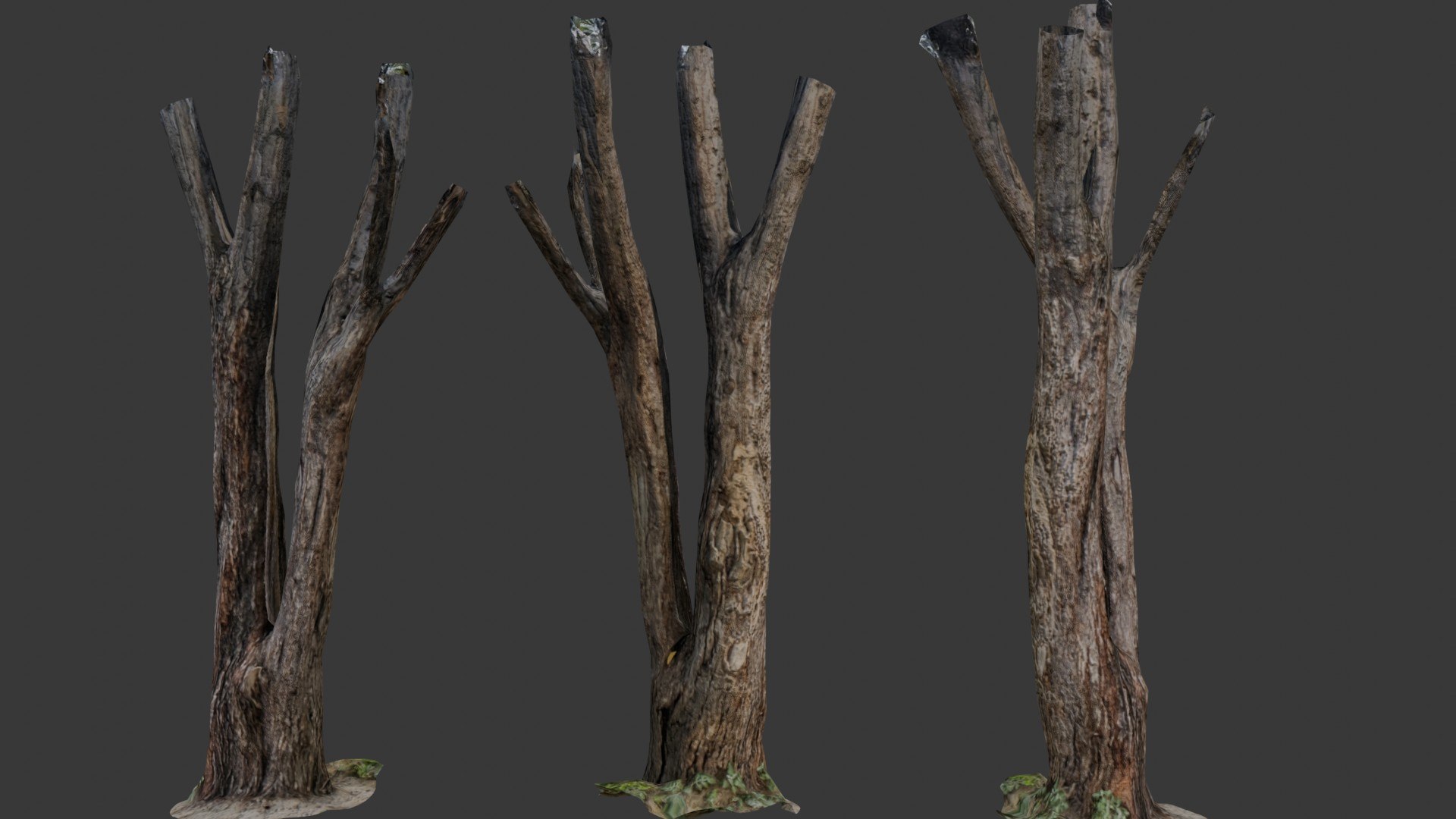 3D Broken Tree Trunk - TurboSquid 2406336