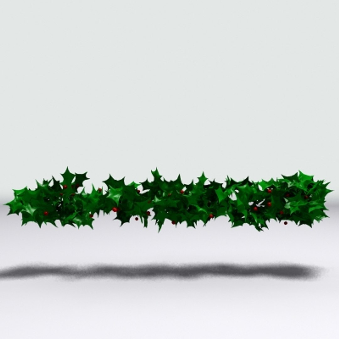string holly berries max