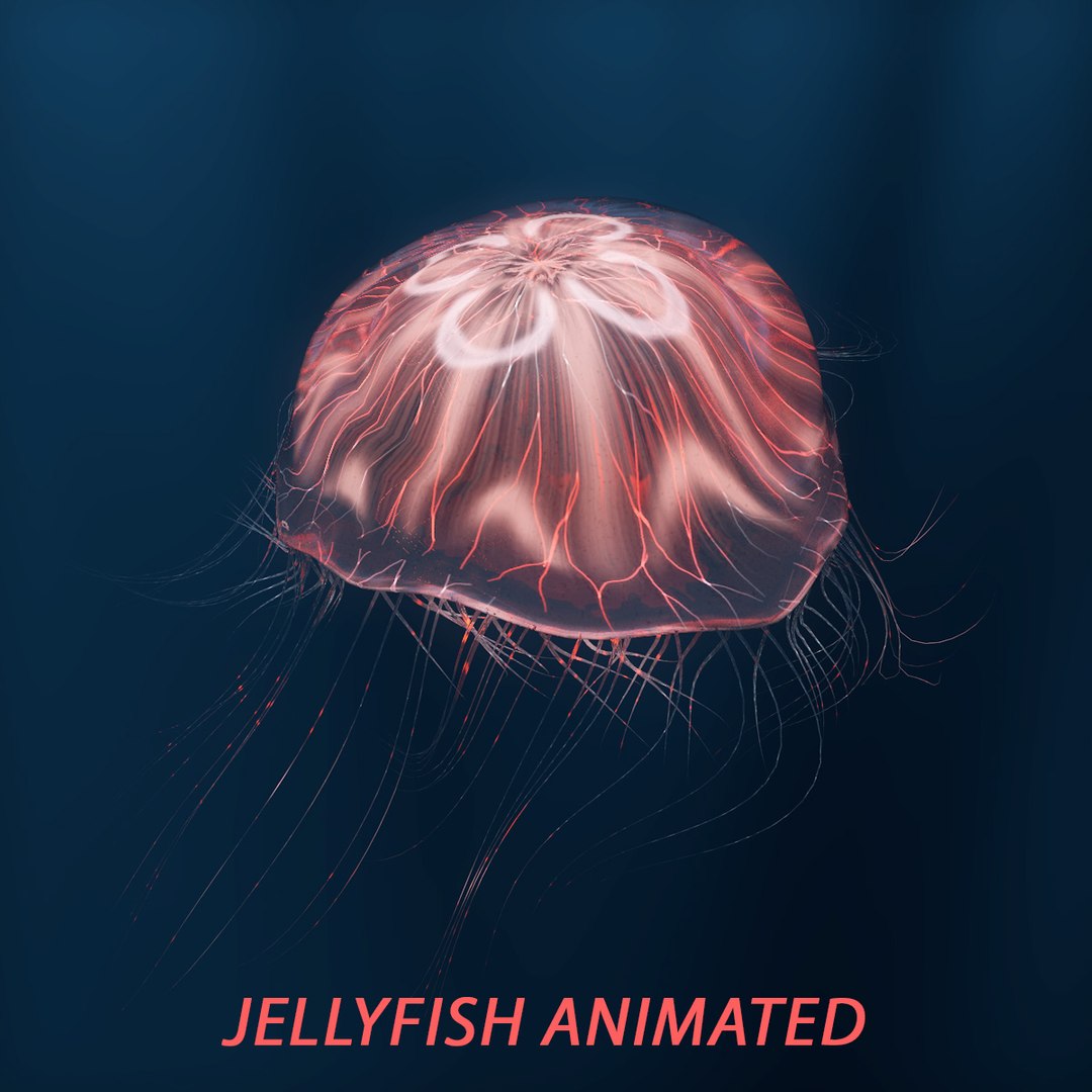 Jellyfish Animations 3D - TurboSquid 1364097