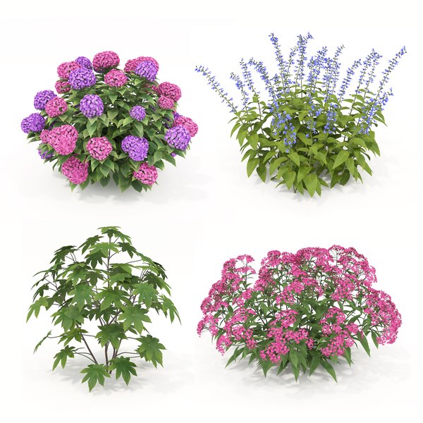 Realistic Shrub Bush Flower Set 3D model - TurboSquid 1743629