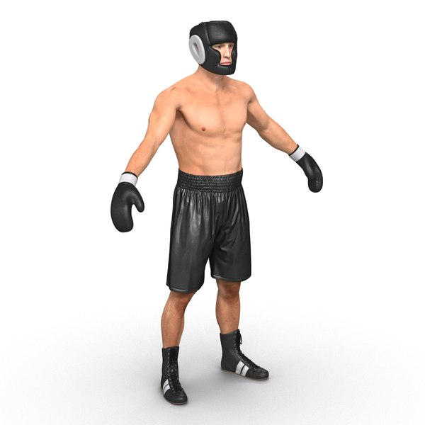 3d model adult boxer man rigged