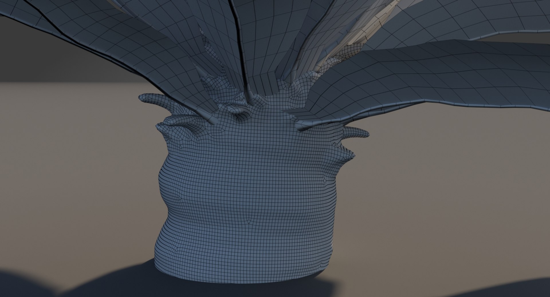 3D Model Scan Cycad Broodboom - TurboSquid 1387098