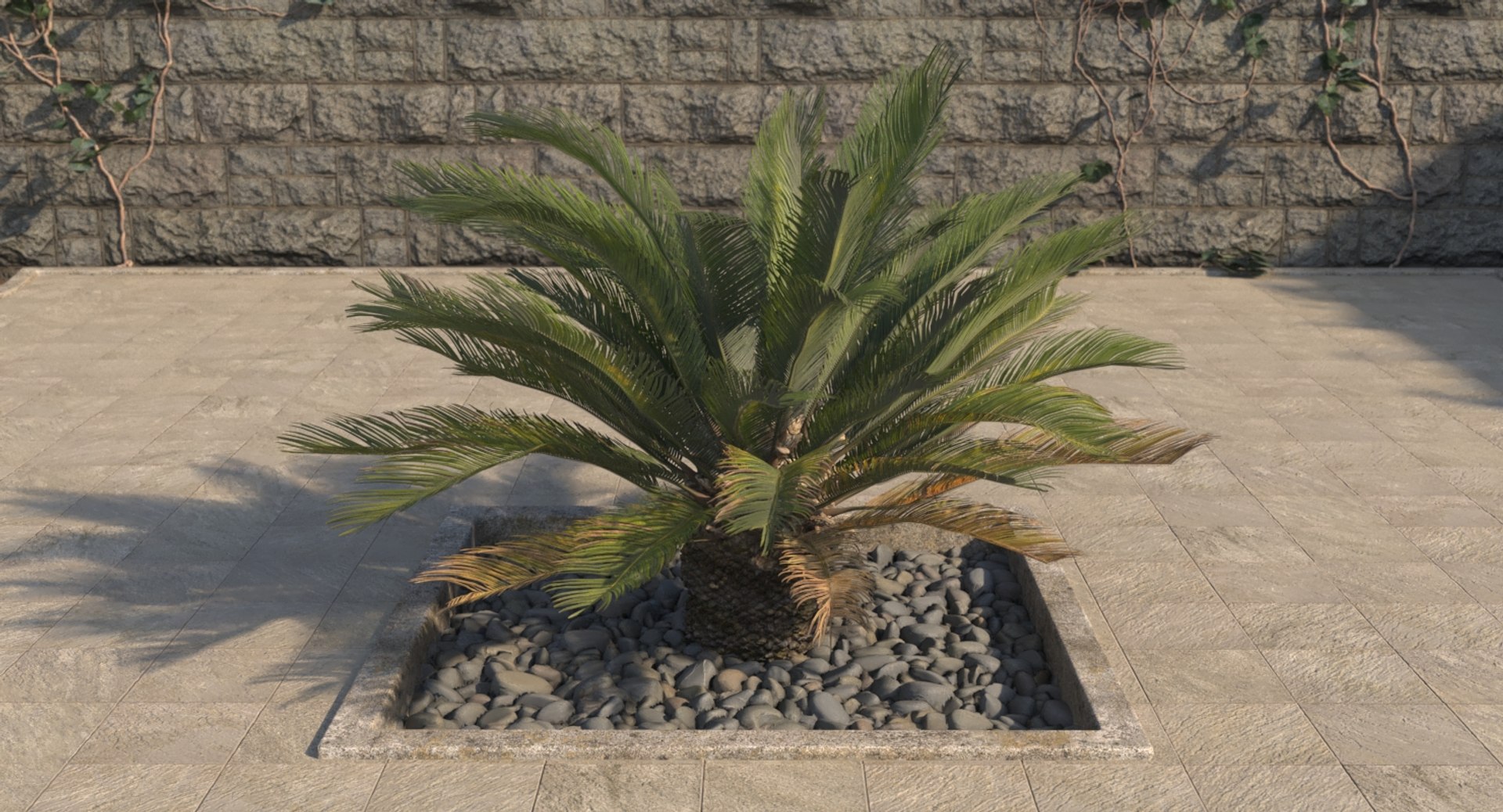 3D Model Scan Cycad Broodboom - TurboSquid 1387098