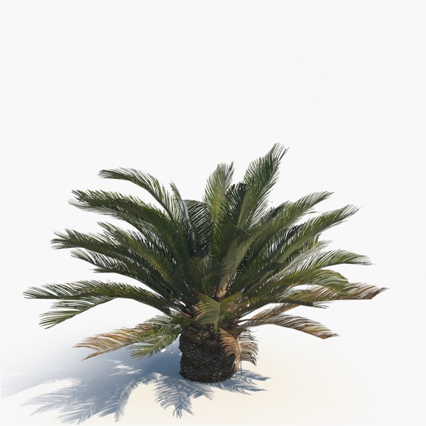 modelo 3d Cycad BroodBoom B - TurboSquid 1387098