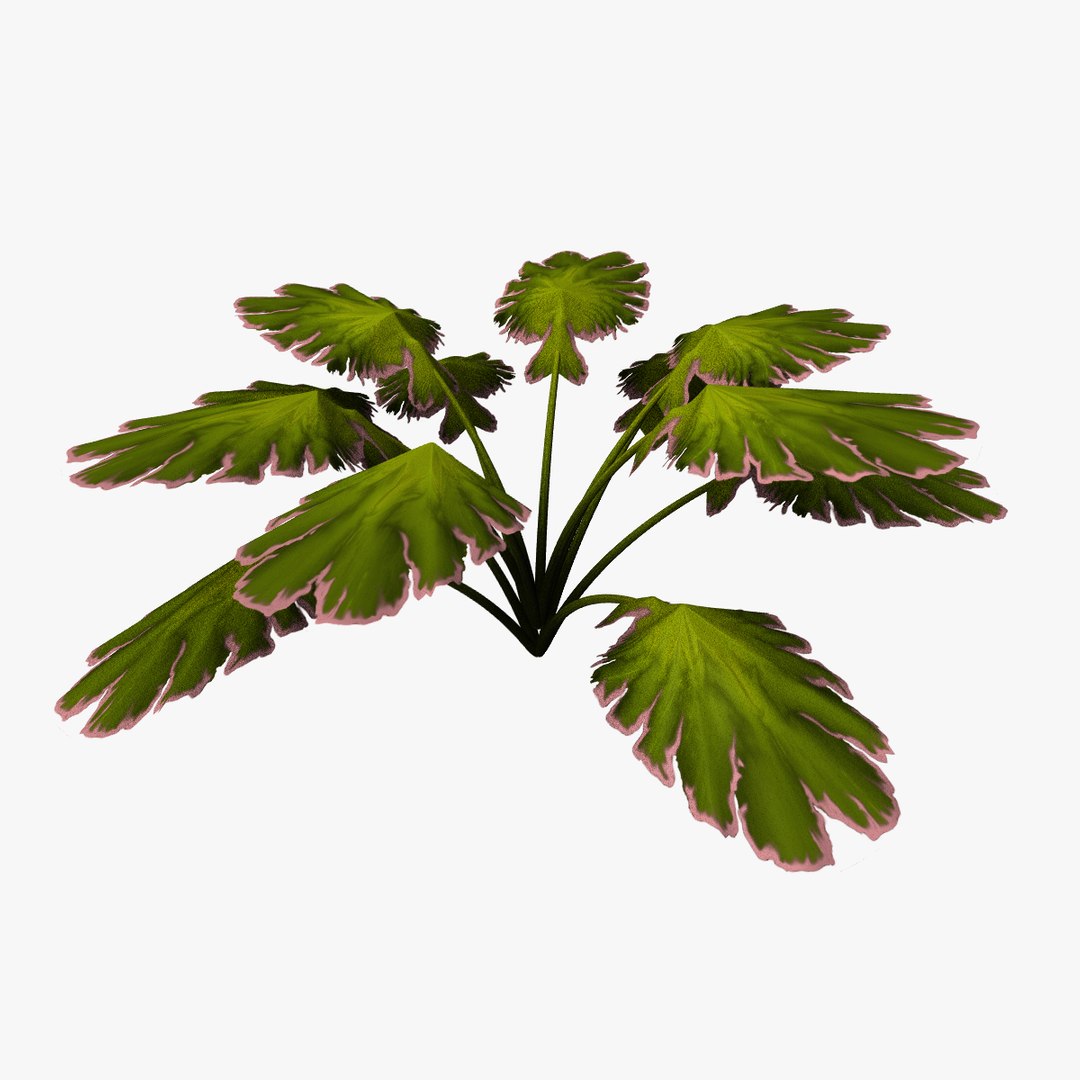 Free Alien Plant 3D Model - TurboSquid 1904766
