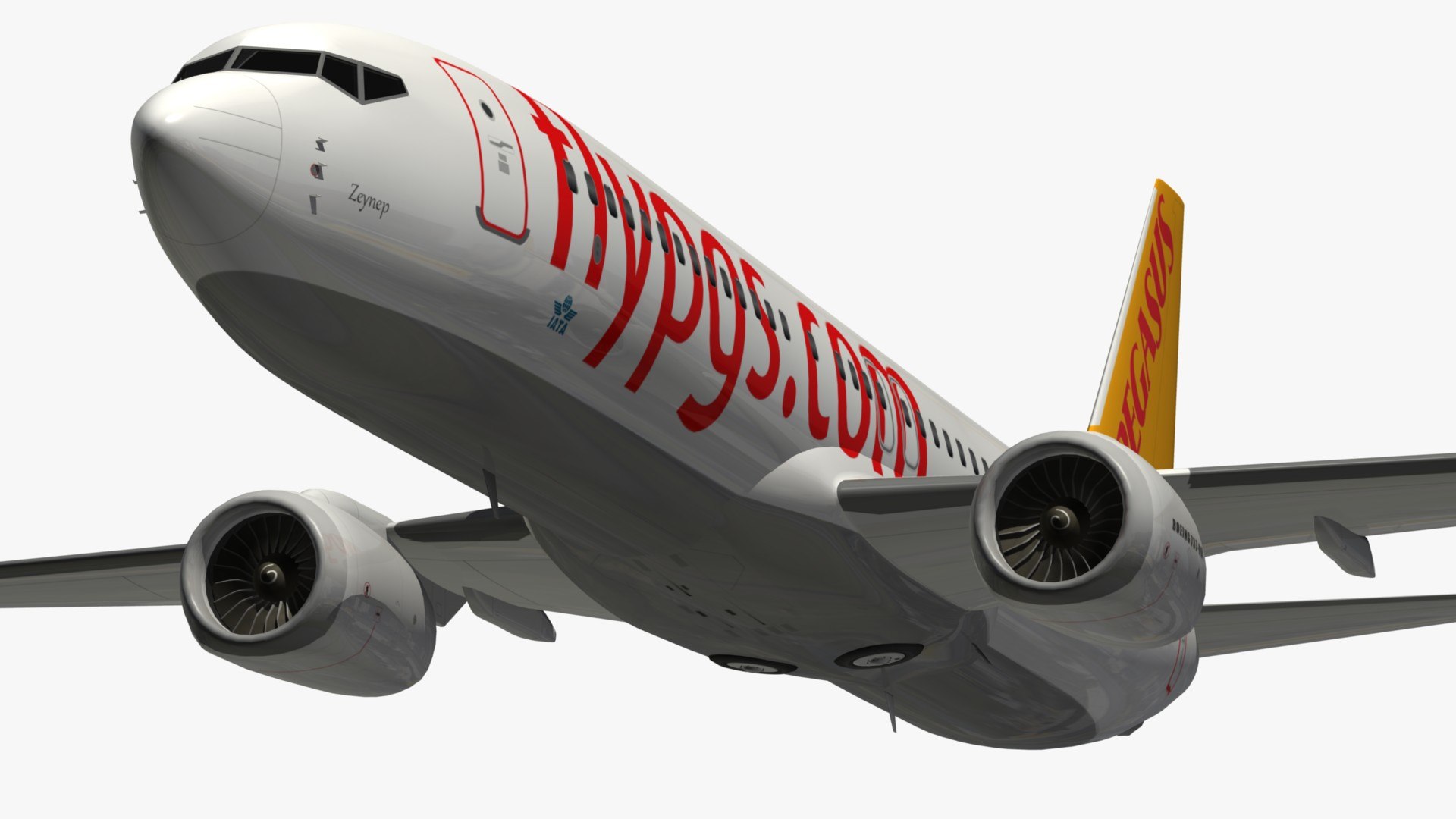 Boeing Pegasus Airlines 3D - TurboSquid 1246107