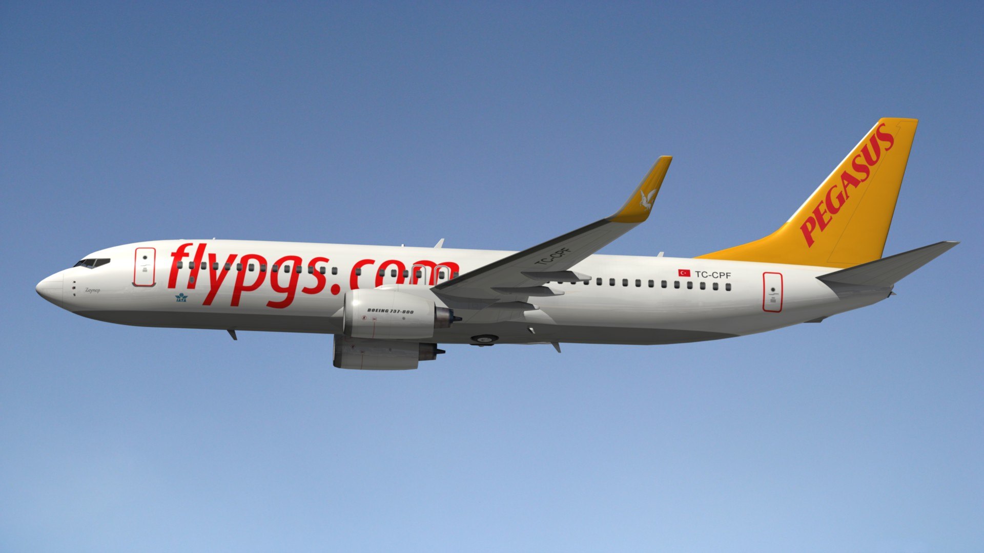 Boeing Pegasus Airlines 3D - TurboSquid 1246107