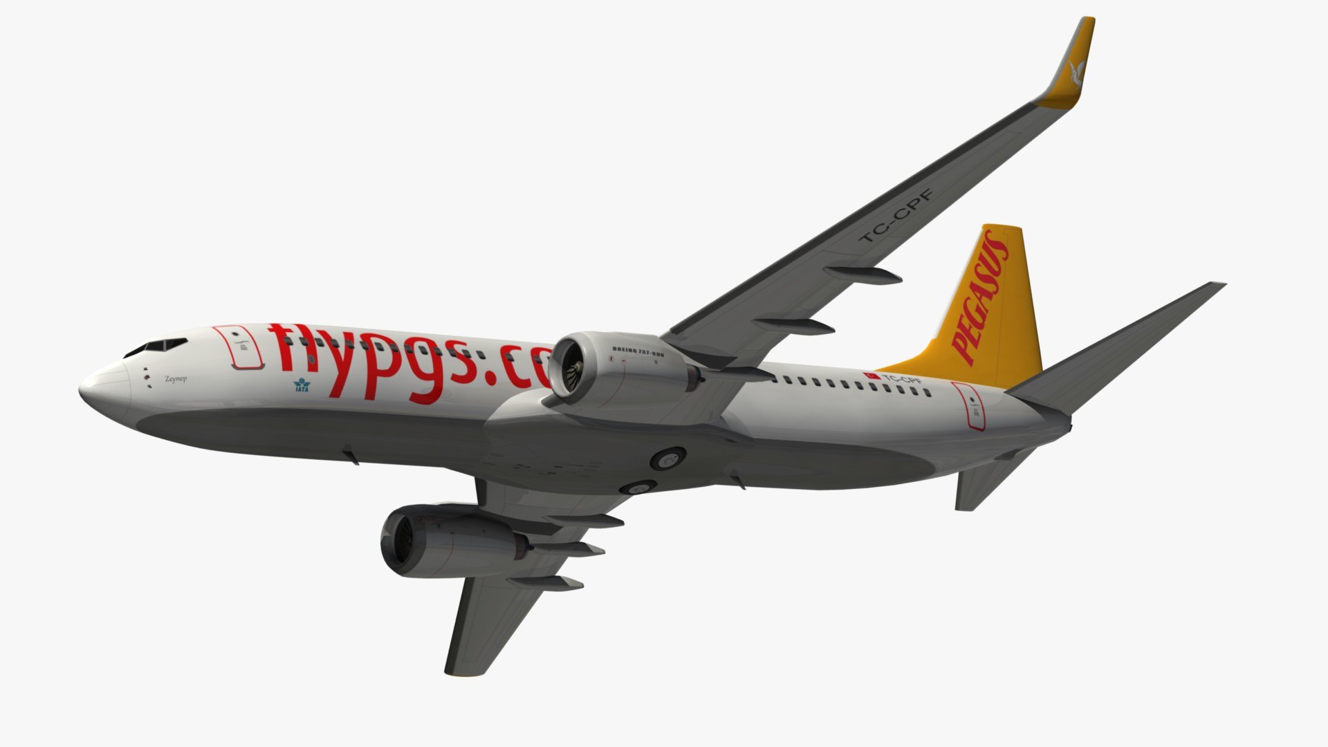 Boeing Pegasus Airlines 3D - TurboSquid 1246107