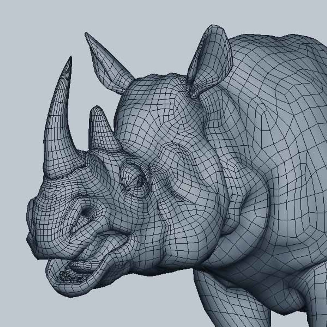 3D rhinoceros animal mammal model - TurboSquid 1406112