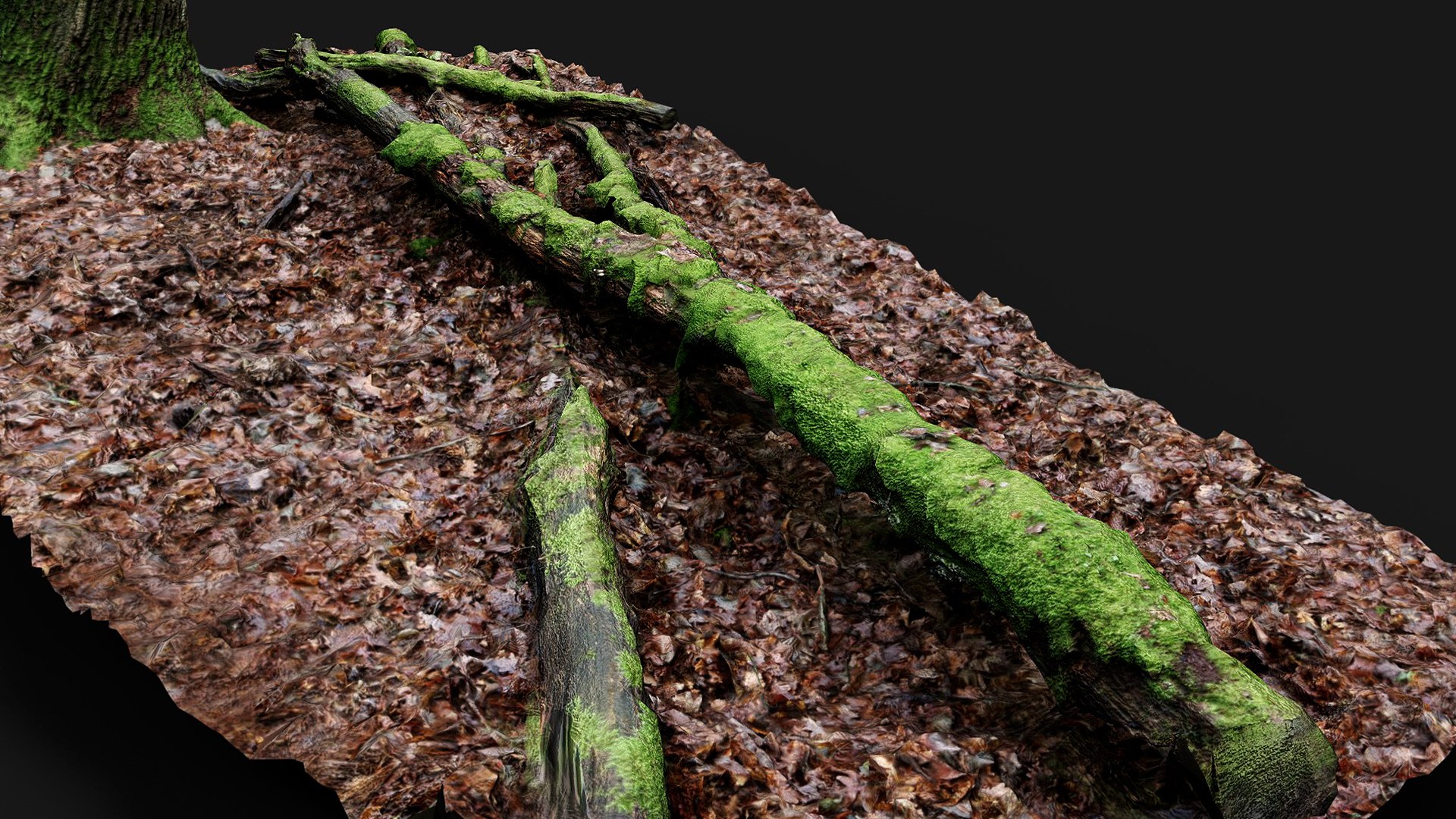 Forest Ground Mossy Tree Branches Debris Pt11 Photogrammetry 3D Model ...