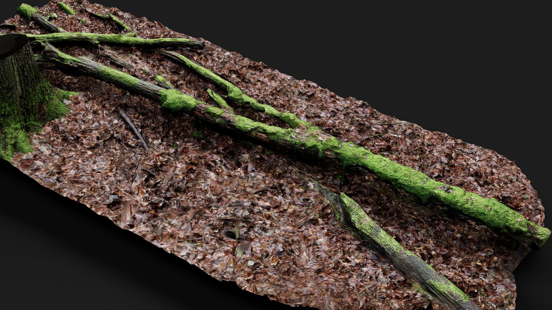 Forest Ground Mossy Tree Branches Debris Pt11 Photogrammetry 3D Model ...
