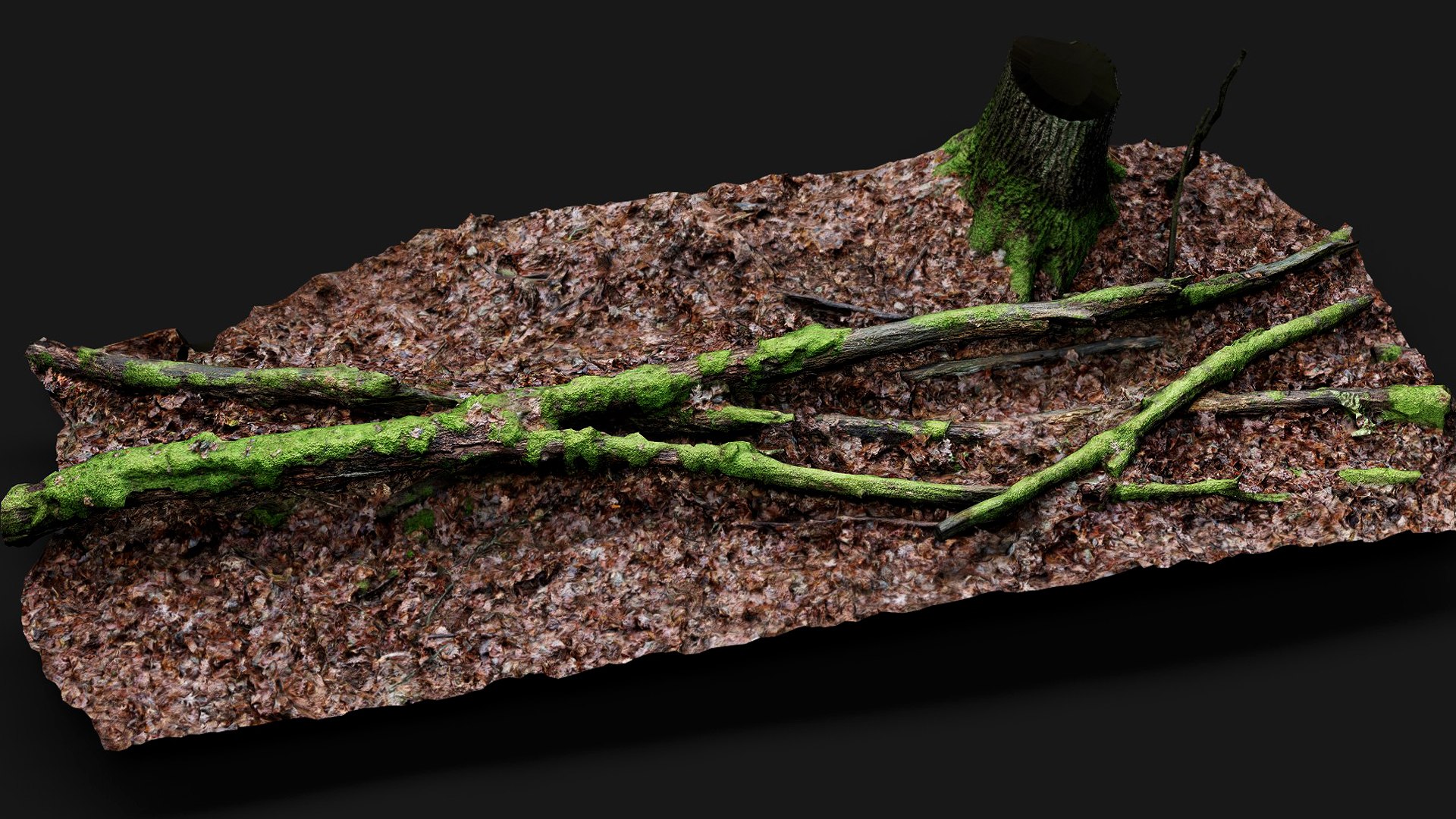 Forest Ground Mossy Tree Branches Debris Pt11 Photogrammetry 3D Model ...