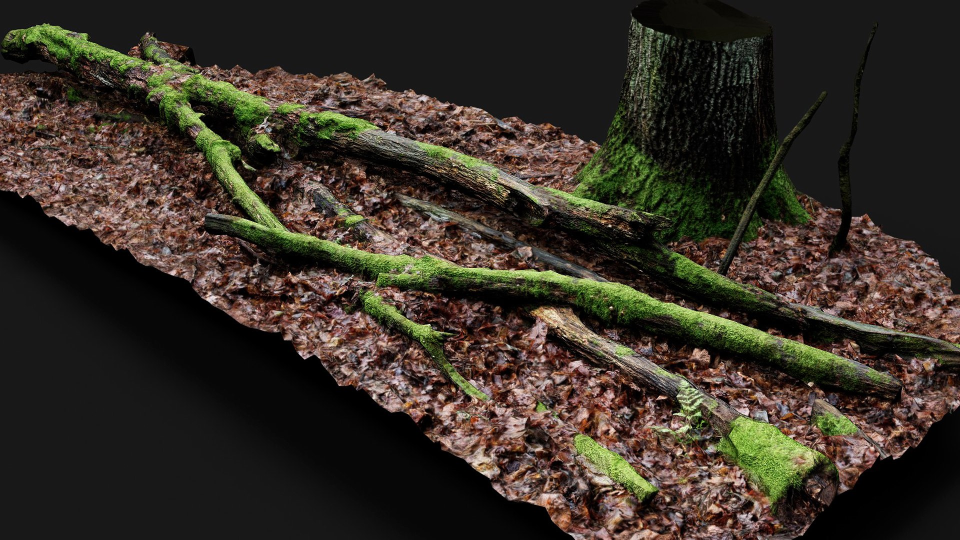 Forest Ground Mossy Tree Branches Debris Pt11 Photogrammetry 3D Model ...