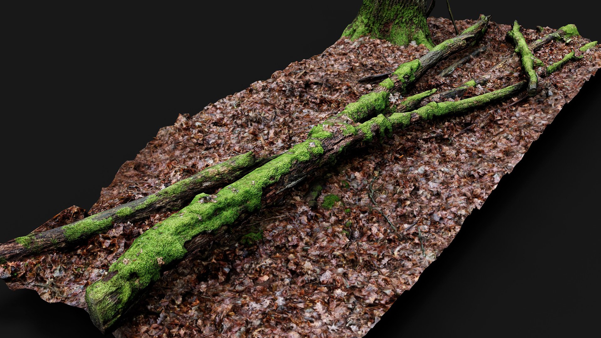 Forest Ground Mossy Tree Branches Debris Pt11 Photogrammetry 3D Model ...