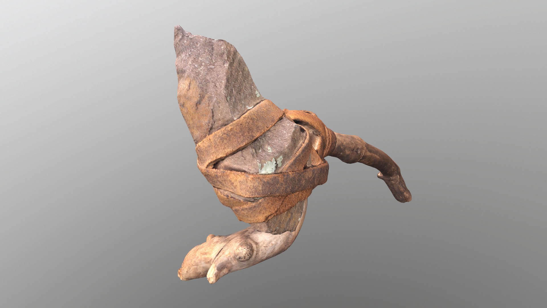 Real - 3D Model - TurboSquid 1589370