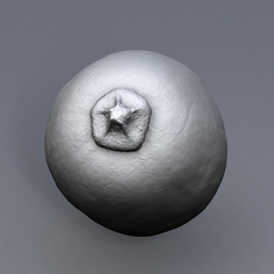 Gourd 3d Model