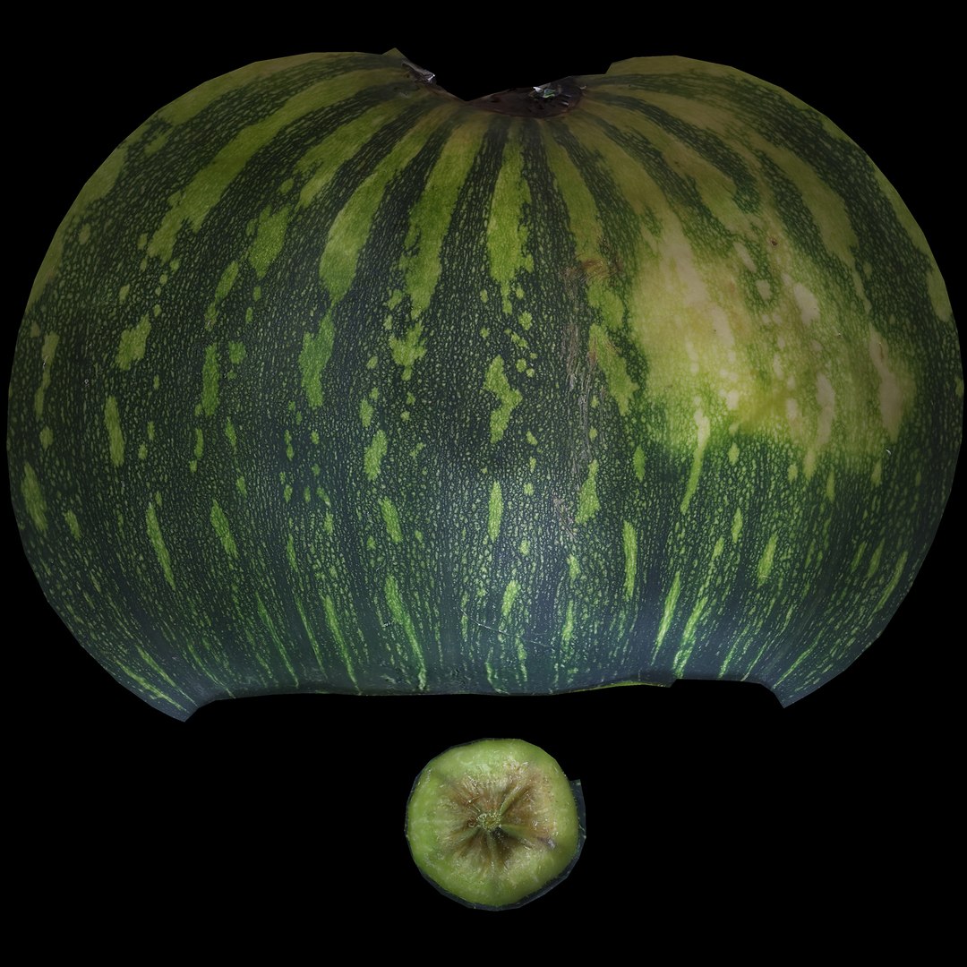 Gourd 3d Model