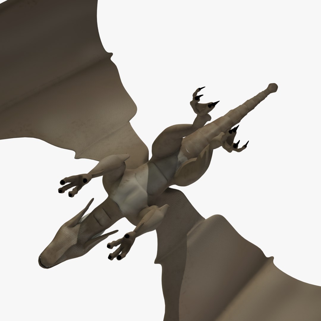 Max Dragon