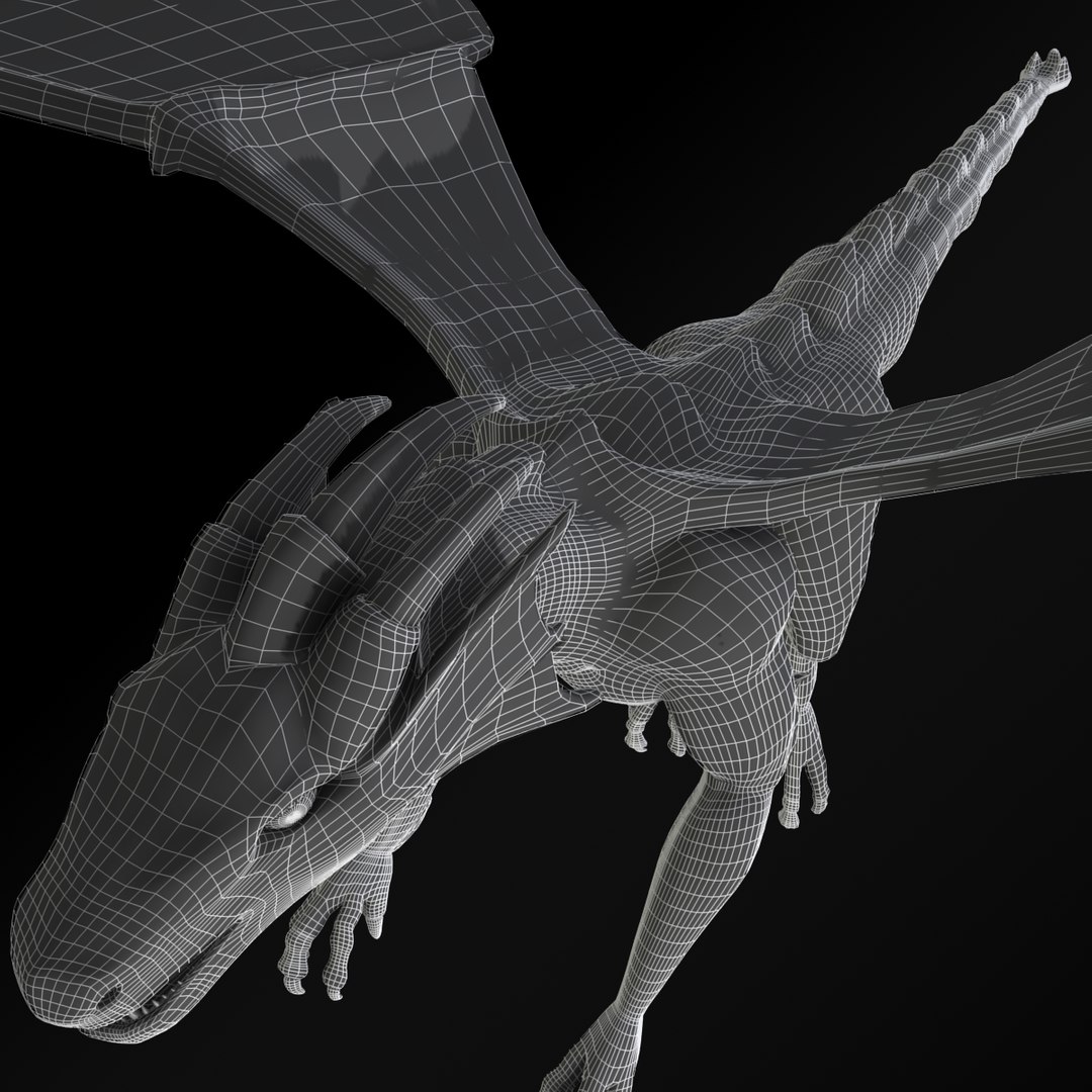 Max Dragon