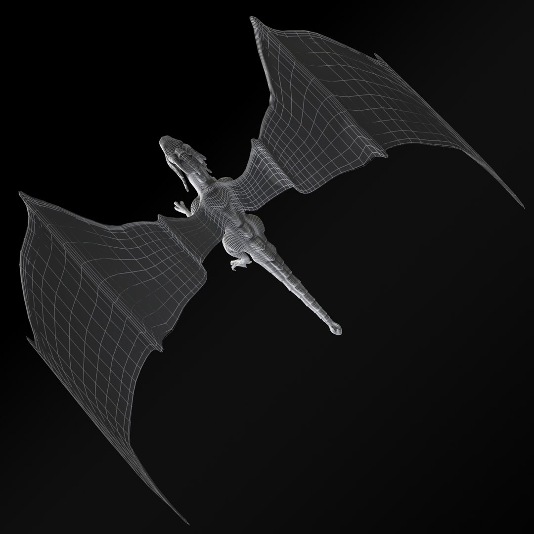 Max Dragon