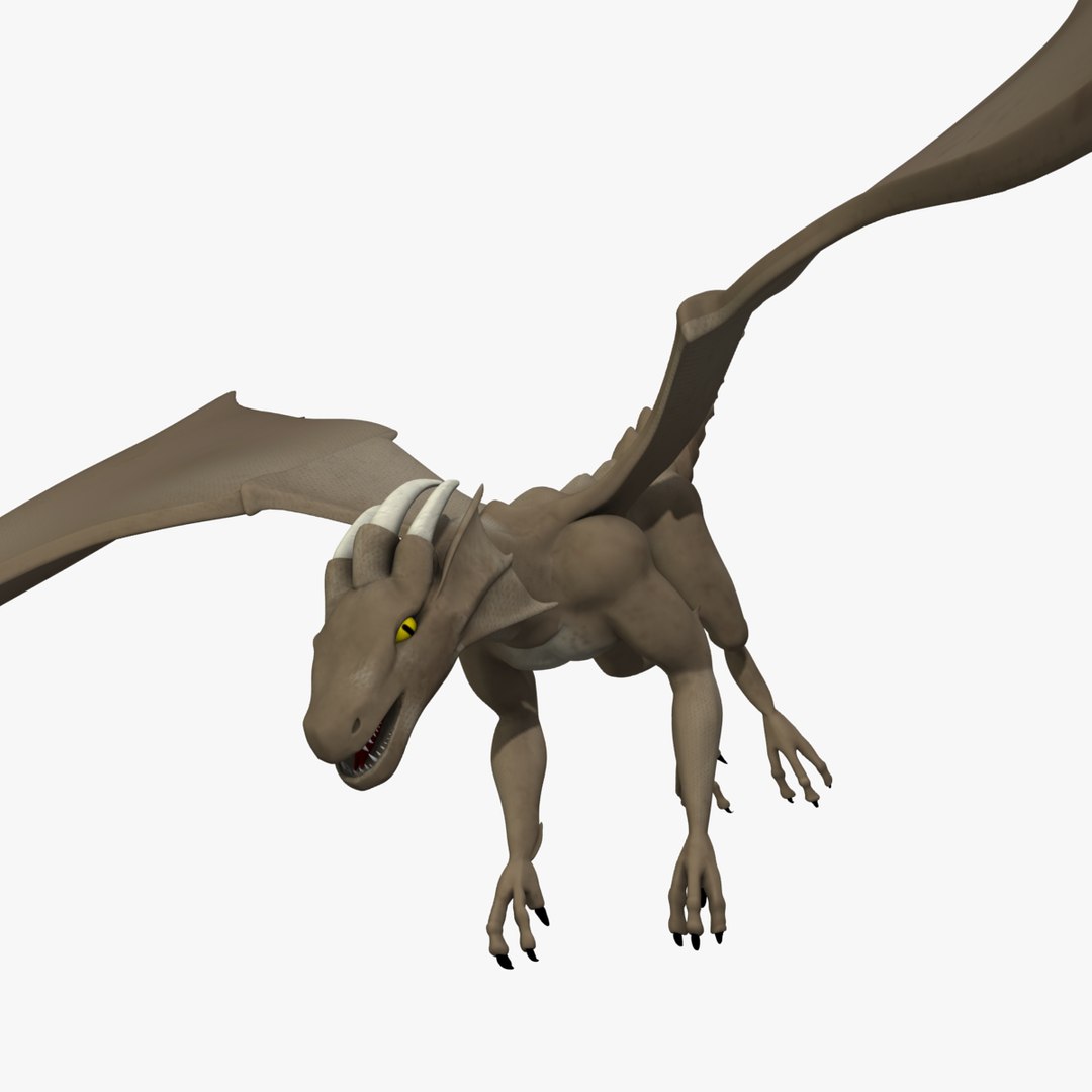 Max Dragon